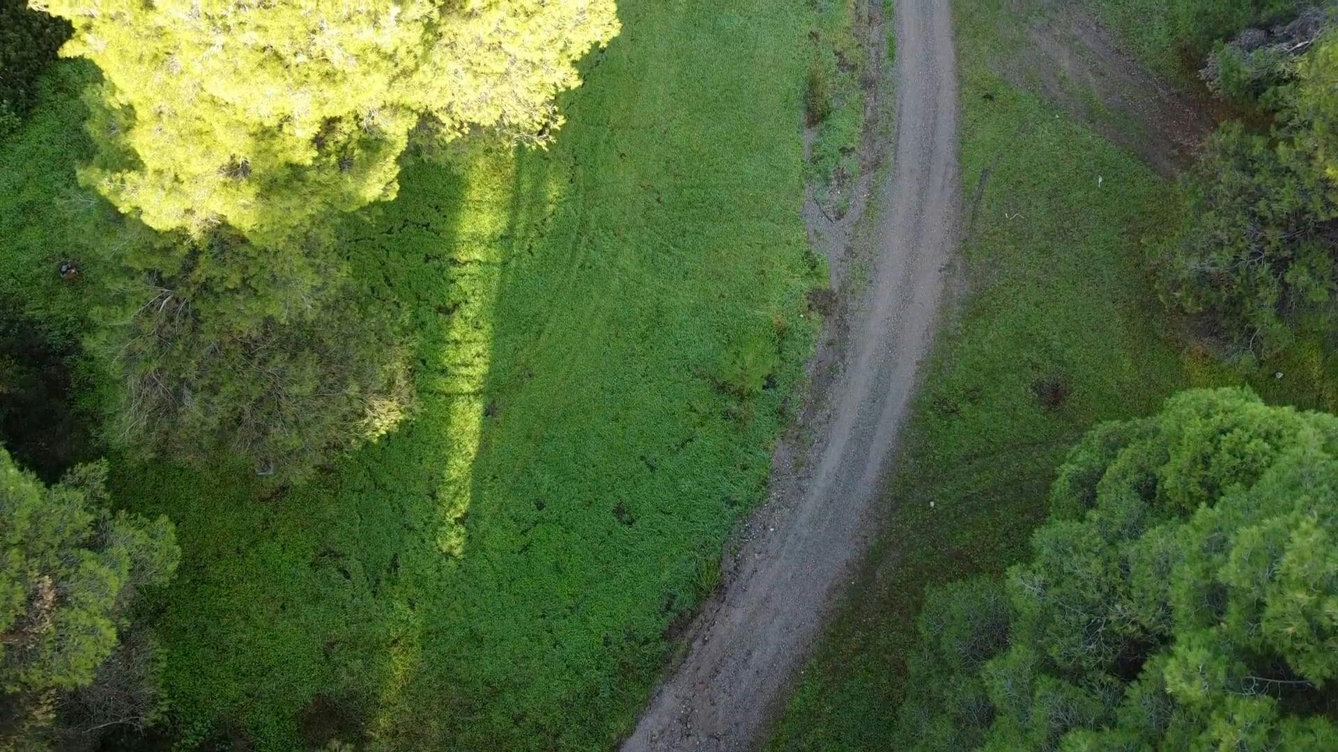 A Road Cuts Through A Forest Free Stock Video Footage, Royalty-Free 4K ...