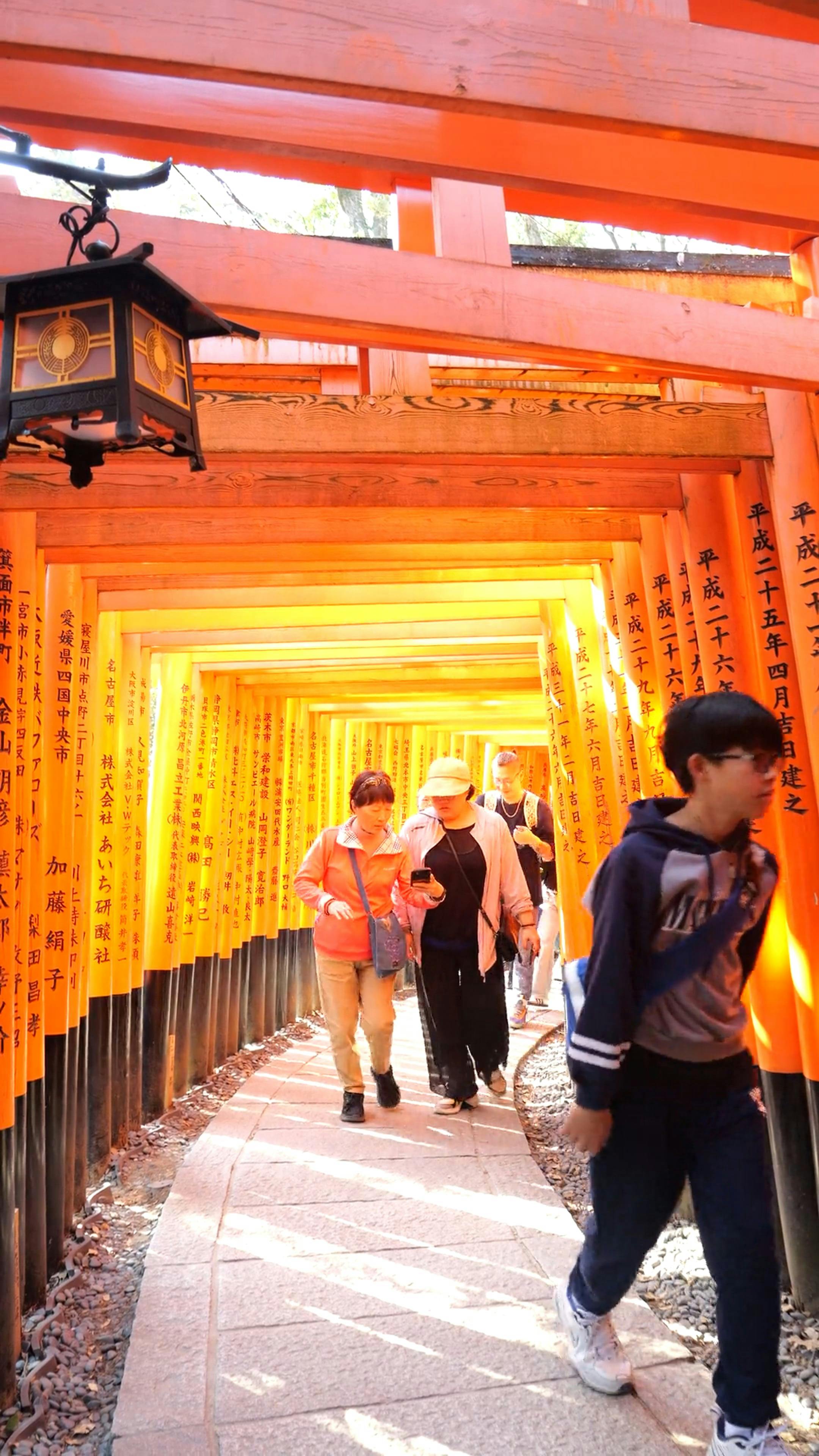 The Fushimi Inari Shrine in Japan Free Stock Video Footage, Royalty ...
