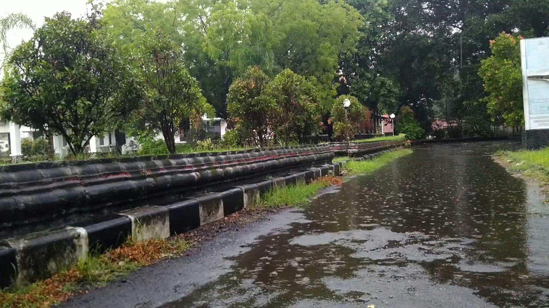 Video stok gratis tentang air, air hujan, alam, alami, ambien, angin ...