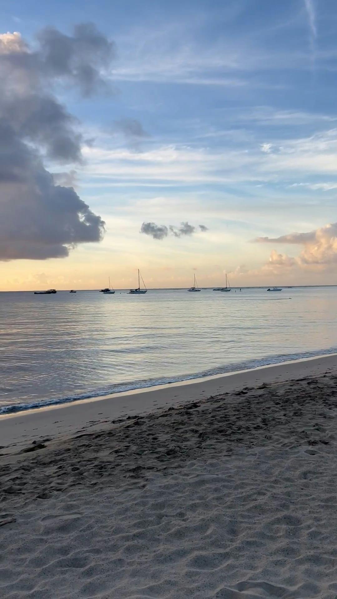 Nikki B - Photography