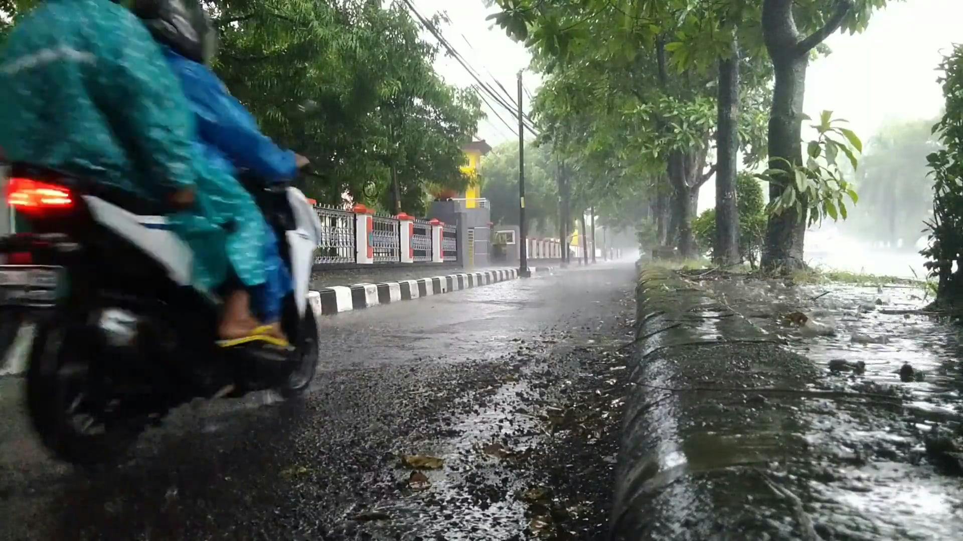 Heavy rain Free Stock Video Footage, Royalty-Free 4K & HD Video Clip