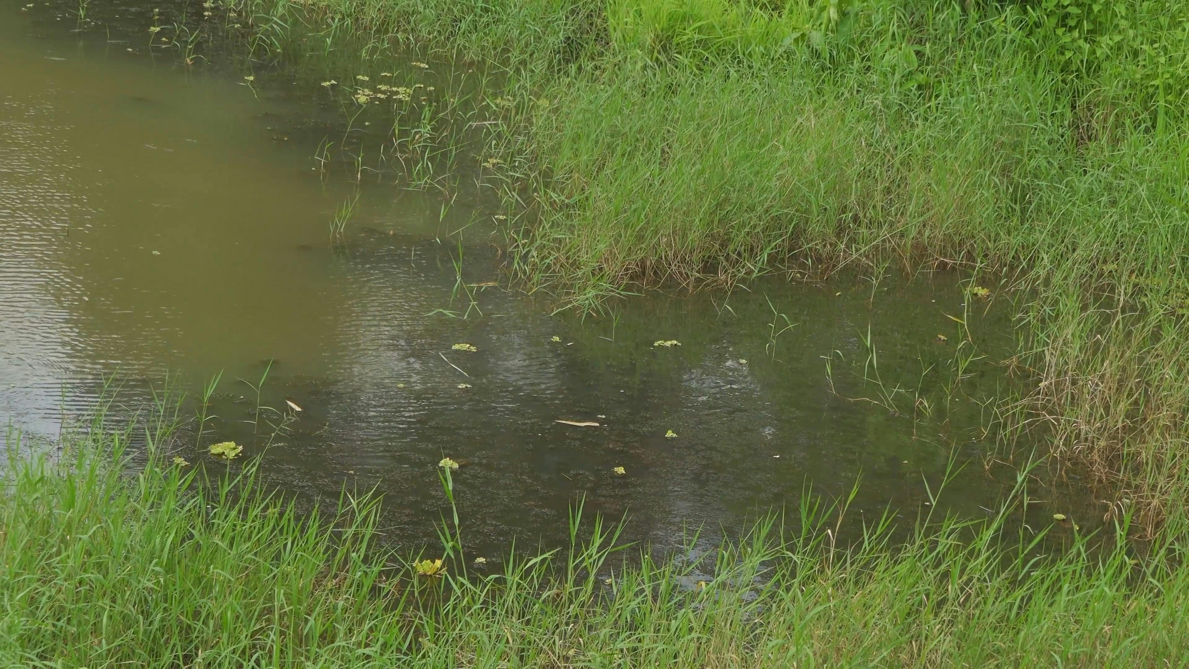 B Roll Videos, Download The BEST Free 4k Stock Video Footage & B Roll ...