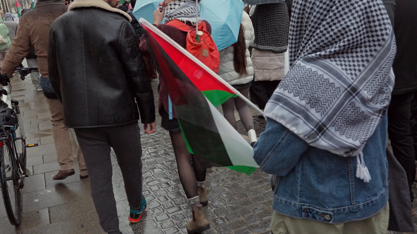 Gaza Videos, Download The BEST Free 4k Stock Video Footage & Gaza HD ...