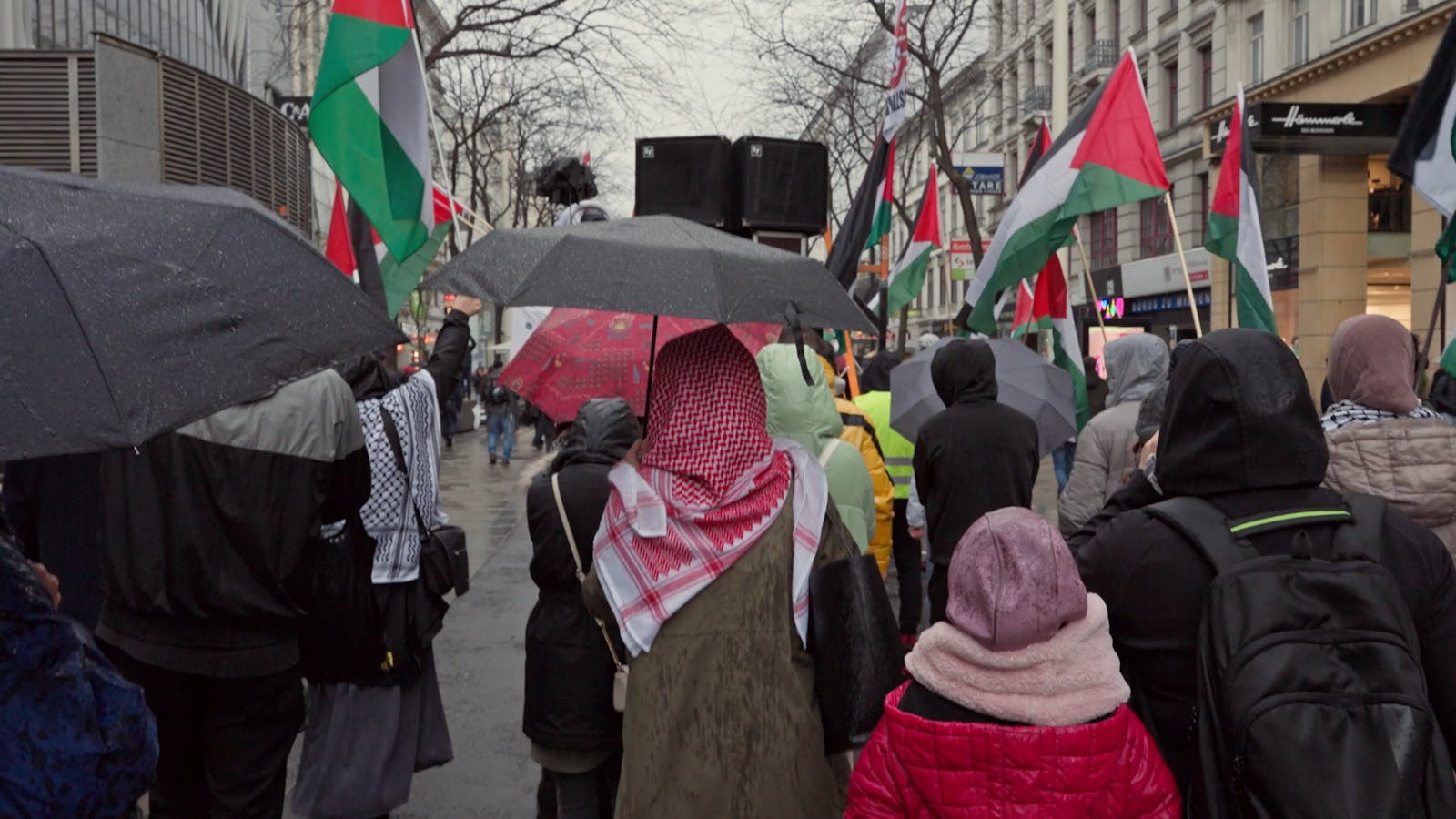 Gaza Videos, Download The BEST Free 4k Stock Video Footage & Gaza HD ...