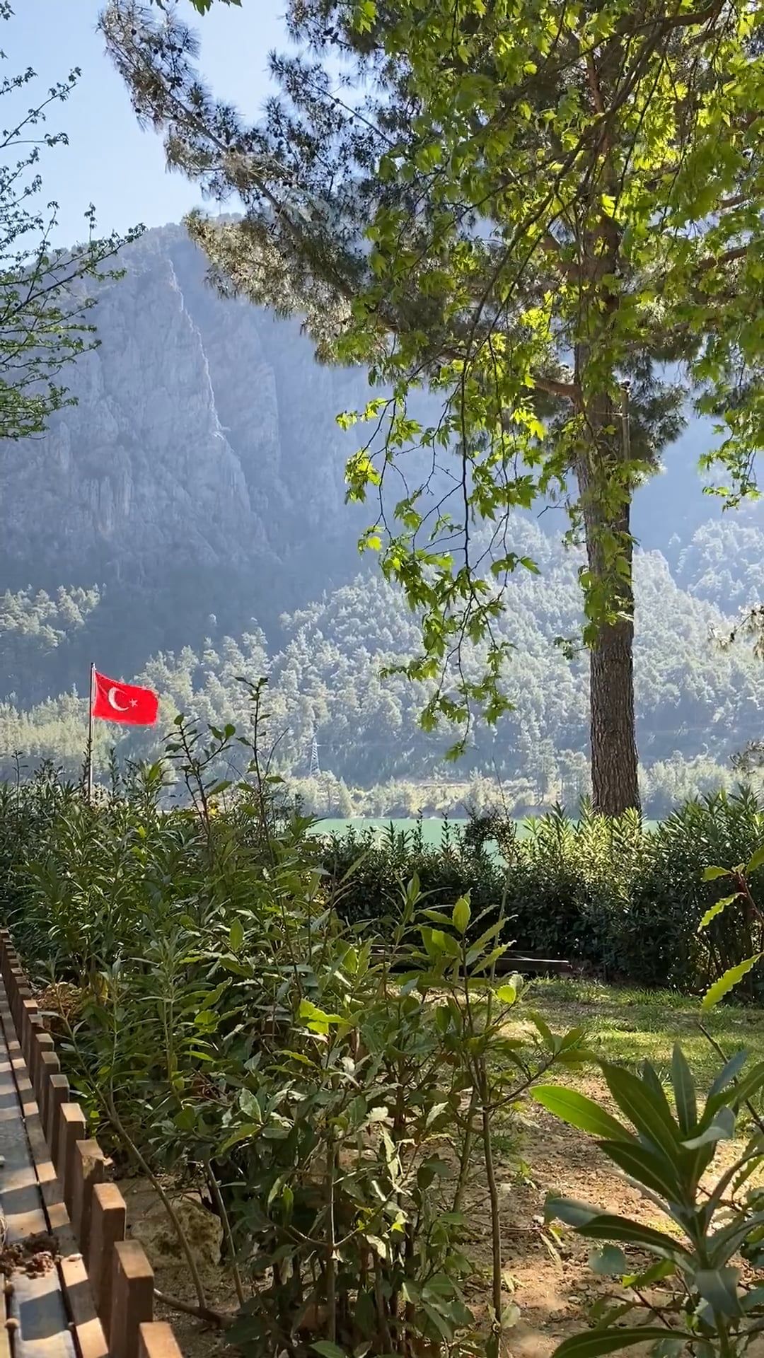 A view of a garden with a path leading to a flag Free Stock Video ...