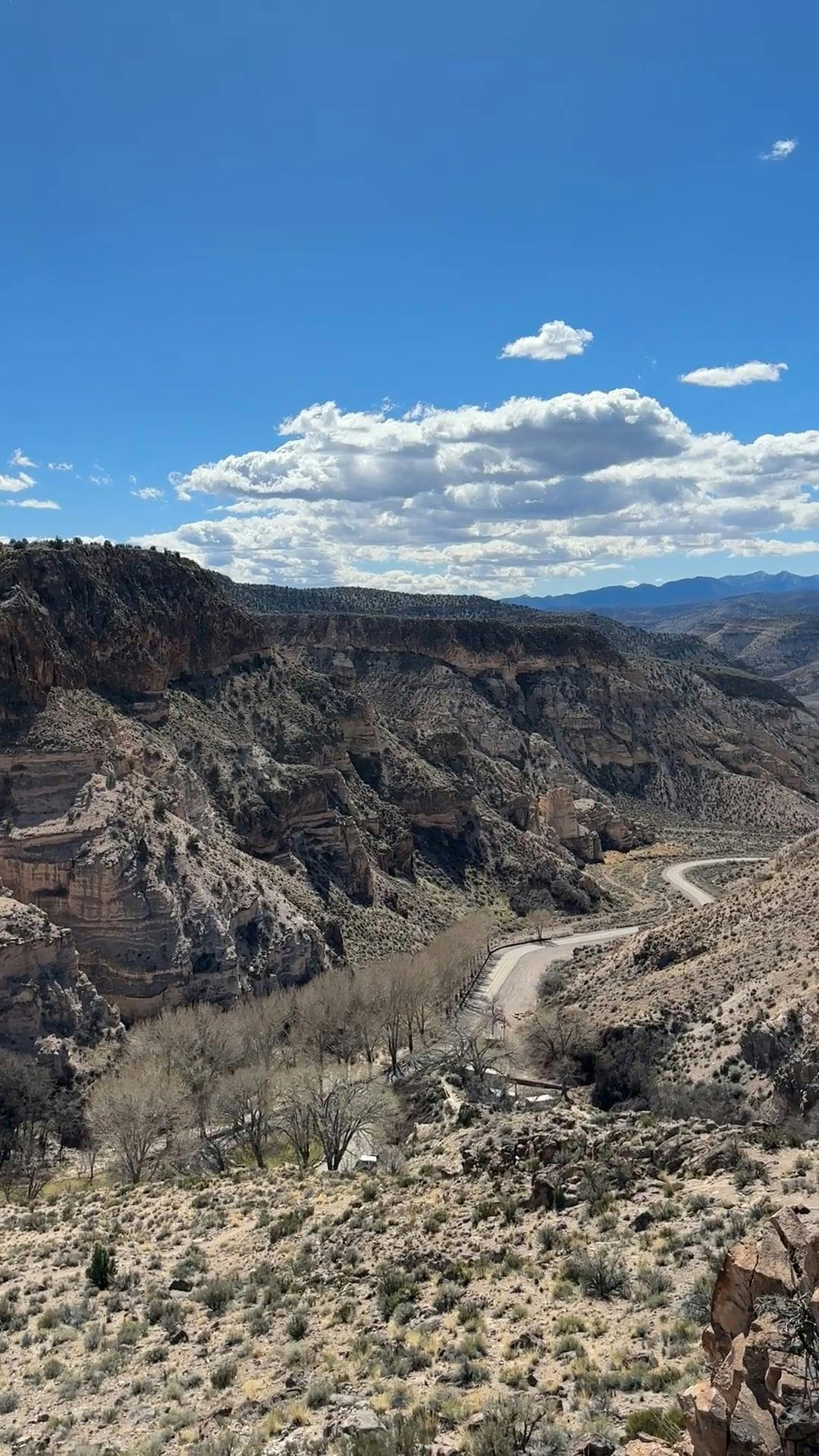 A Jordan Tree Growing Behind A Boulder Of Rocks Free Stock Video ...