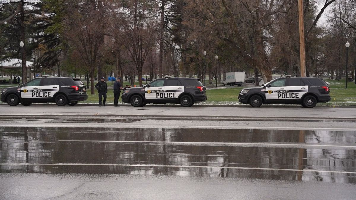 Cops Videos, Download The BEST Free 4k Stock Video Footage & Cops HD ...