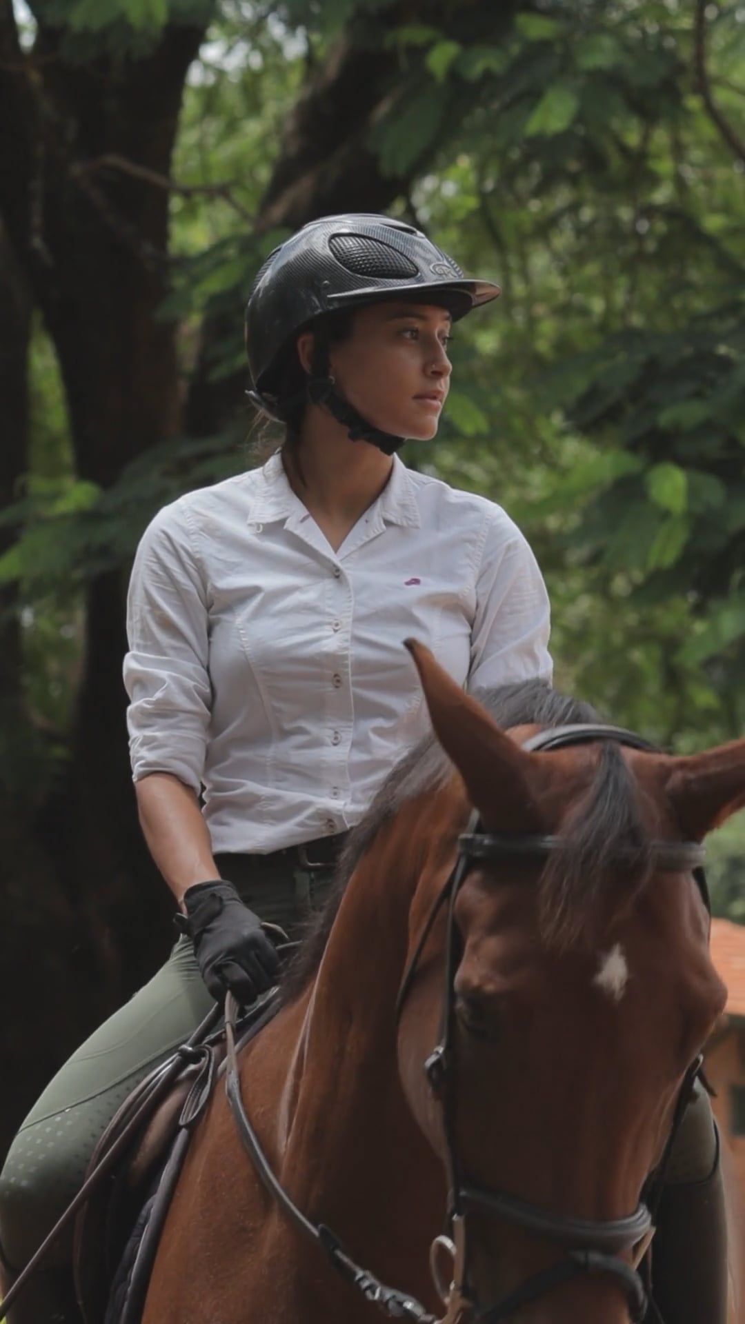 Women Horse Riding Videos, Download The BEST Free 4k Stock Video ...