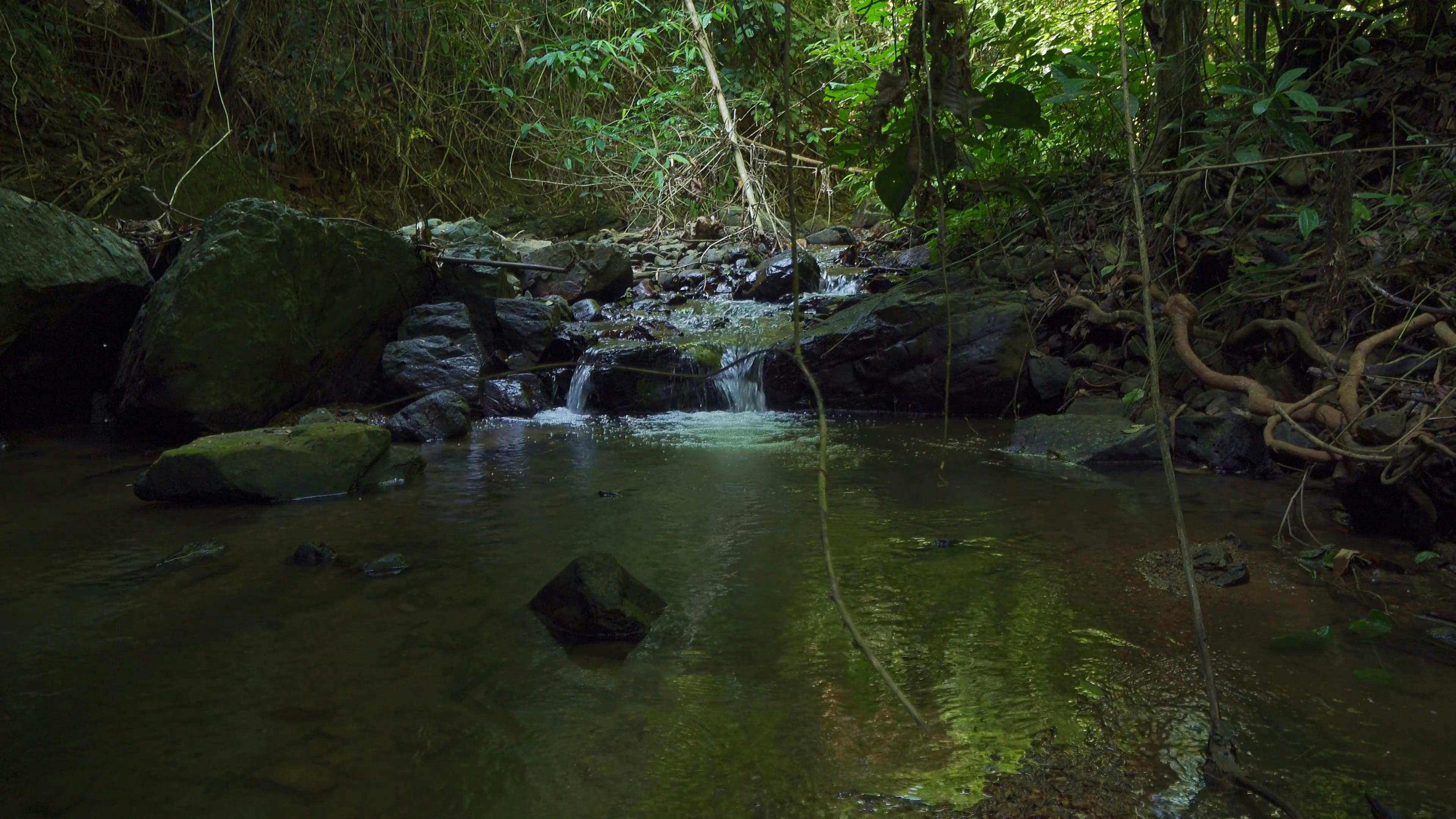 B-Roll (1) Free Stock Video Footage, Royalty-Free 4K & HD Video Clip