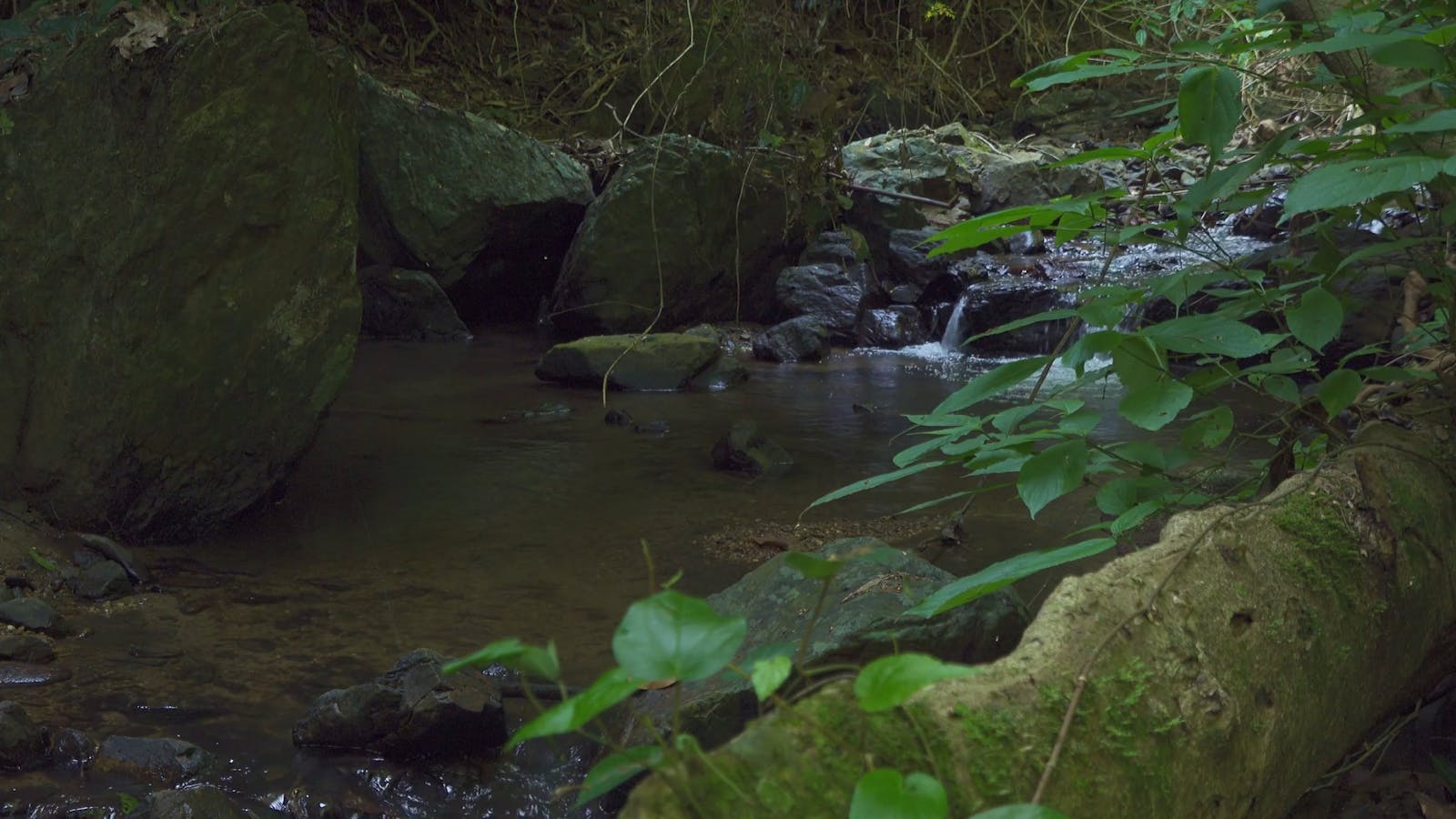 B Roll Videos, Download The BEST Free 4k Stock Video Footage & B Roll ...