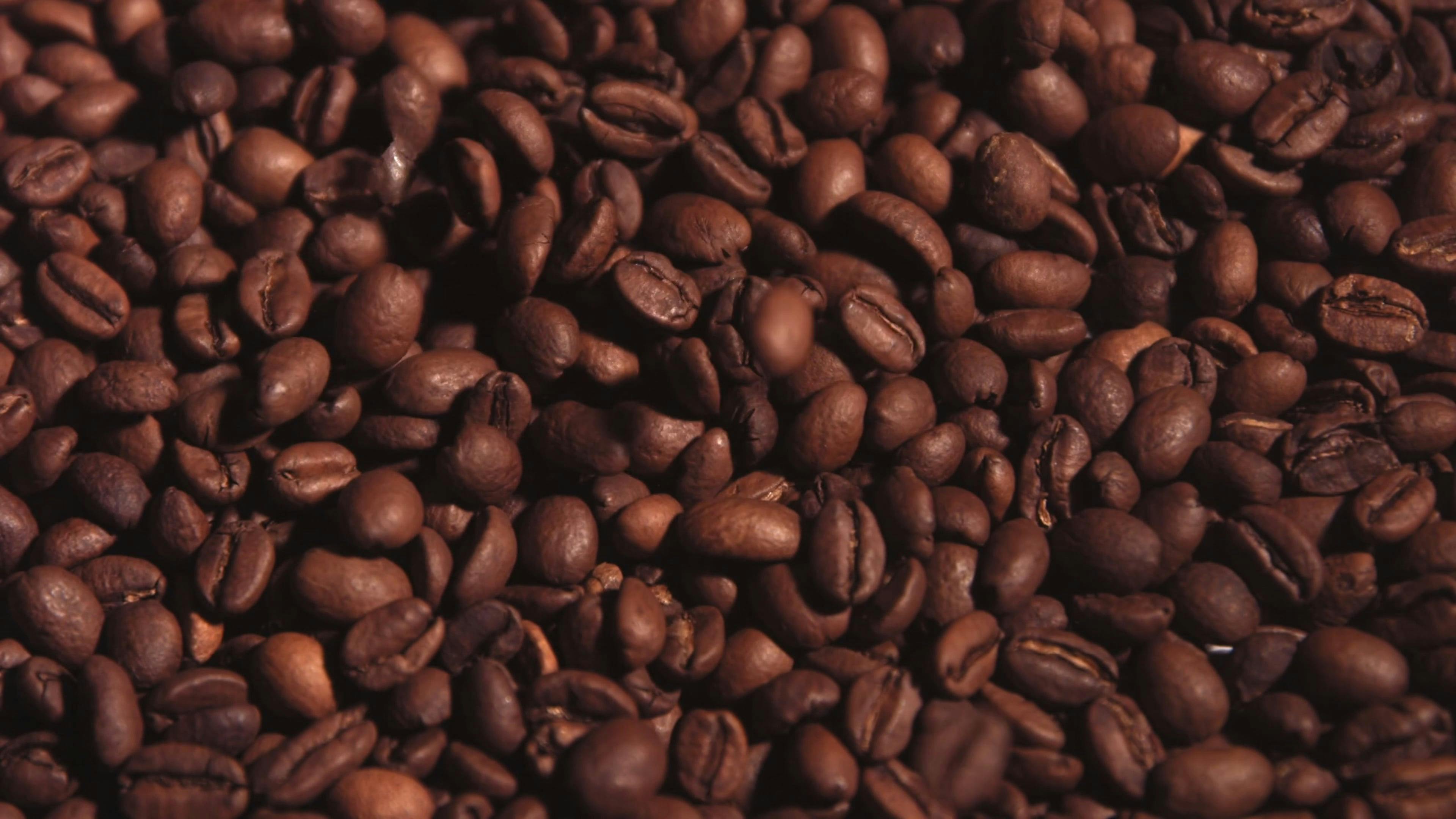 Coffee Varieties Videos, Download The BEST Free 4k Stock Video Footage ...