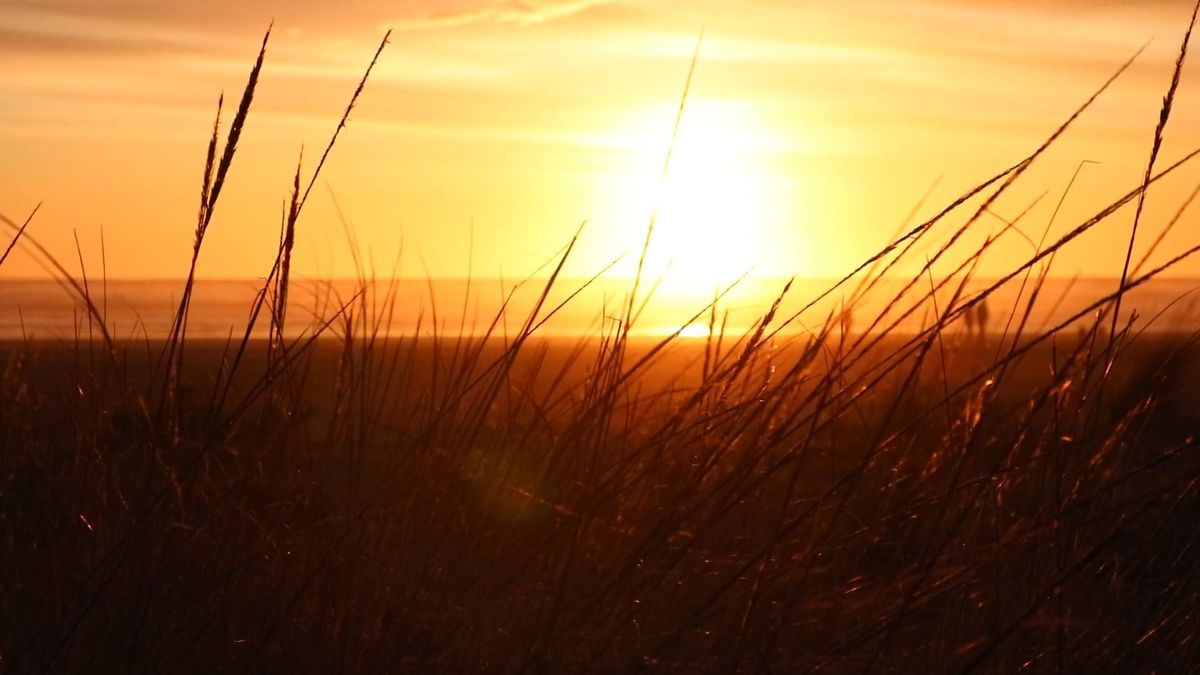Sun Videos, Download The BEST Free 4k Stock Video Footage & Sun HD ...