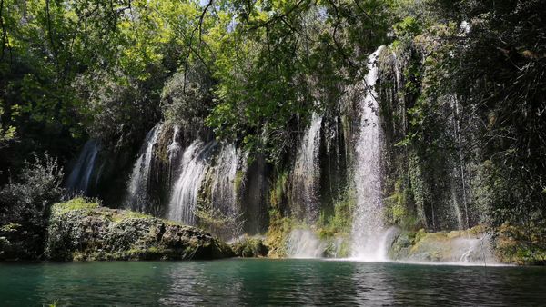 Nature Videos Videos, Download The BEST Free 4k Stock Video Footage ...
