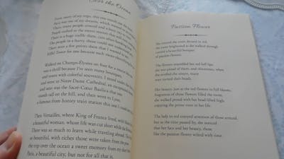 3,253+ Best Free Short 4K Stock Video Footage & Royalty-Free HD Video Clips