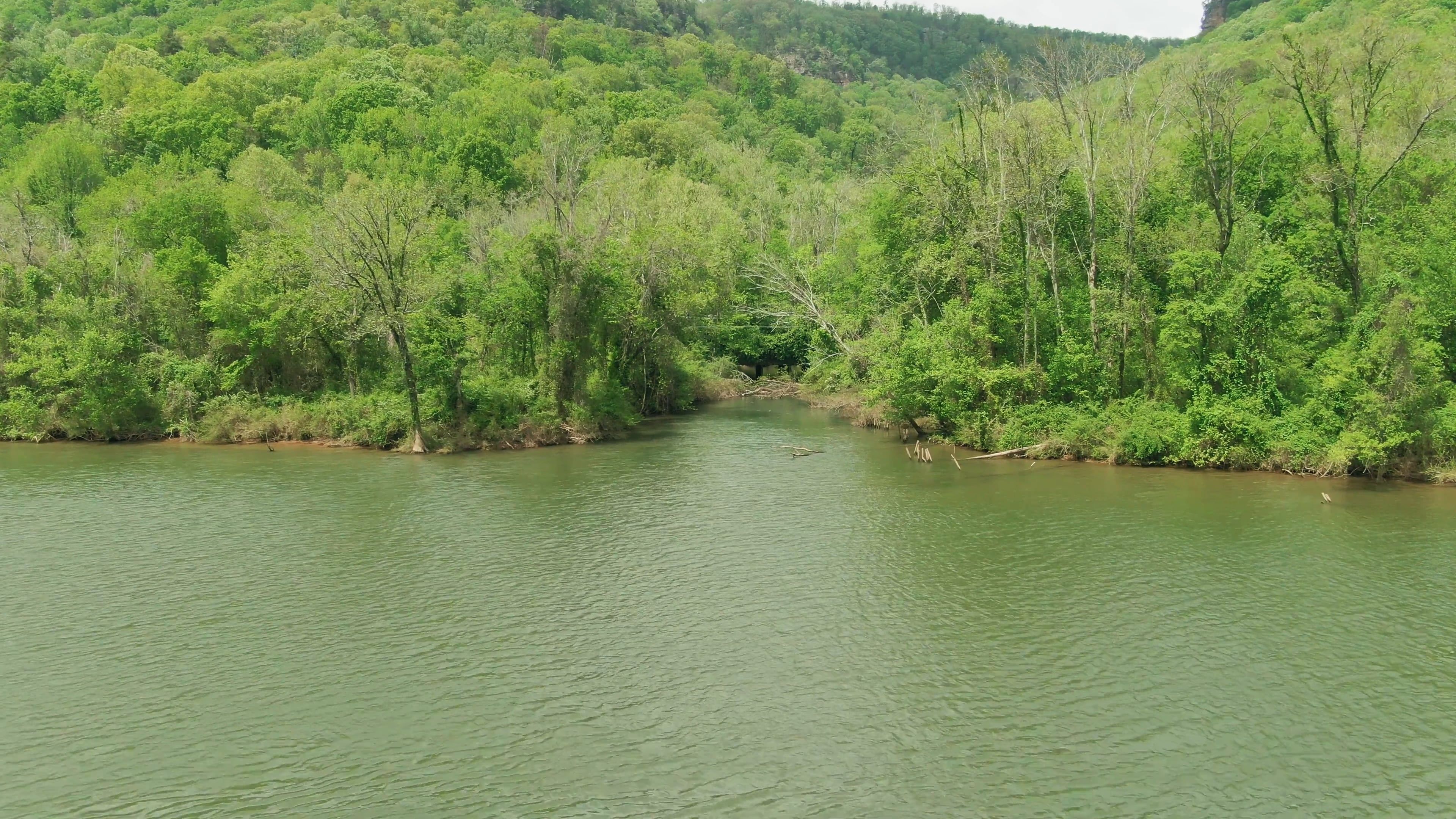 Drone Footage A Creek In A Forest Free Stock Video Footage, Royalty ...