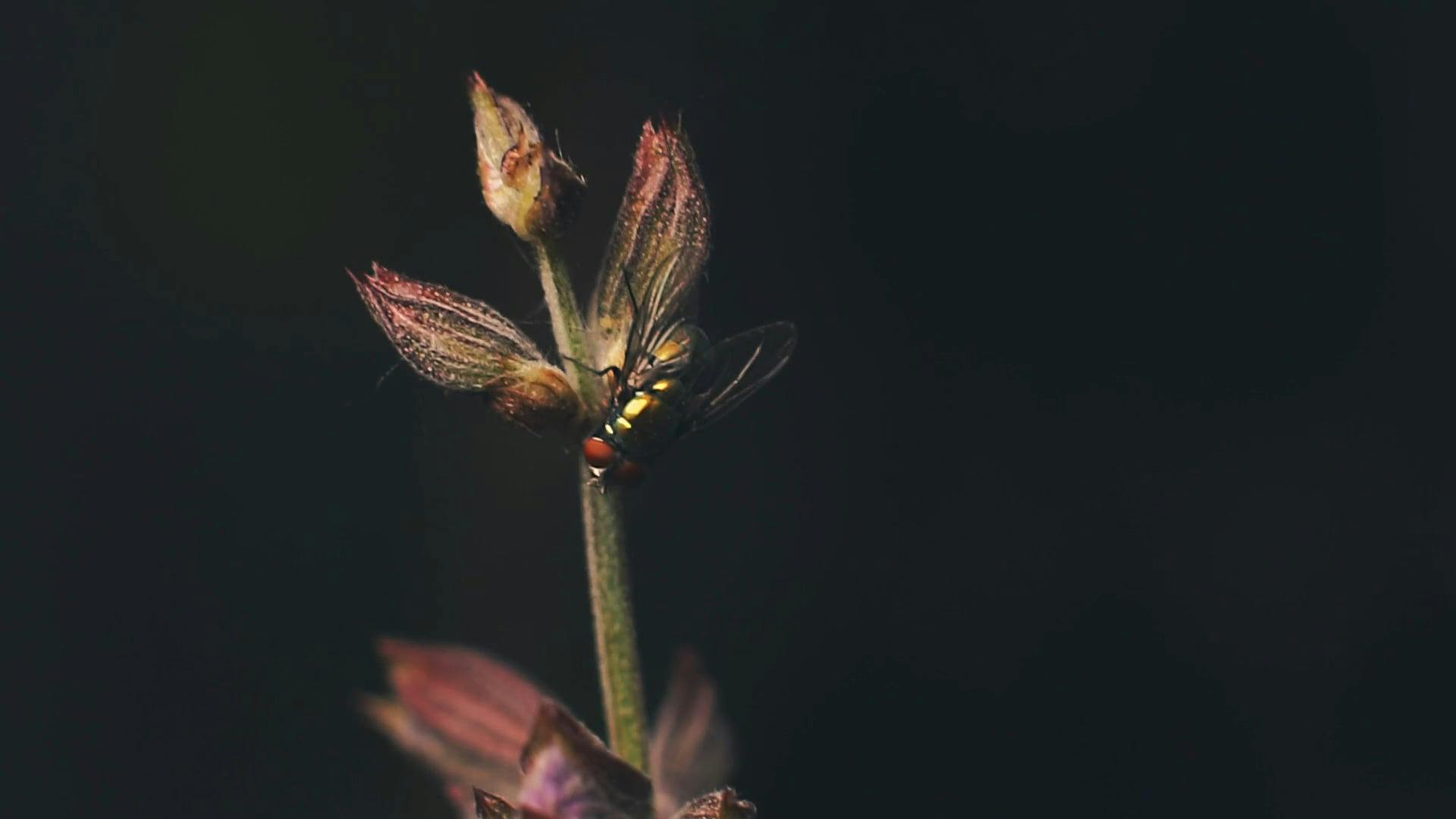 Hi Res Videos, Download The BEST Free 4k Stock Video Footage & Hi Res ...