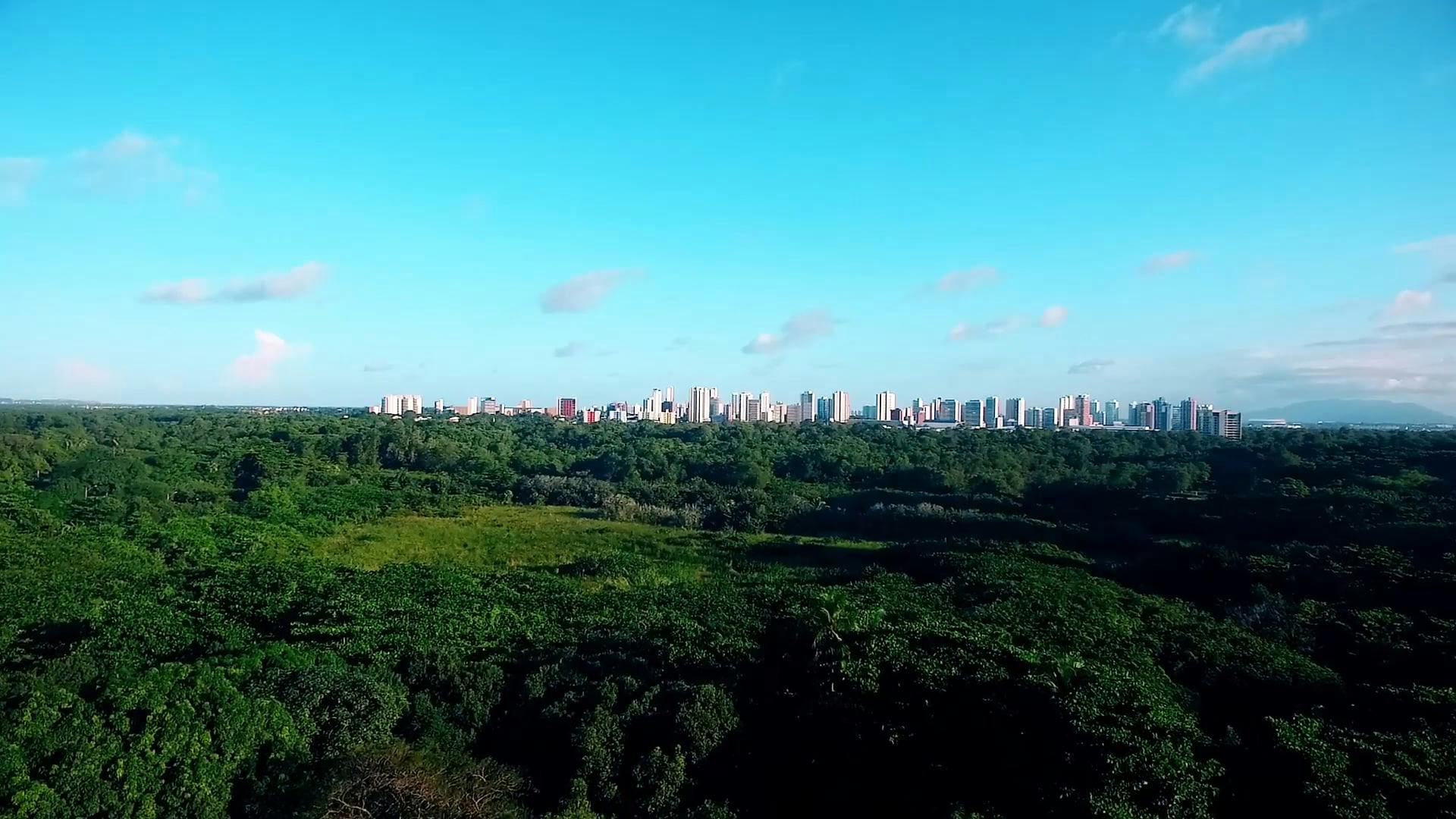 York Brazil Videos, Download The BEST Free 4k Stock Video Footage ...