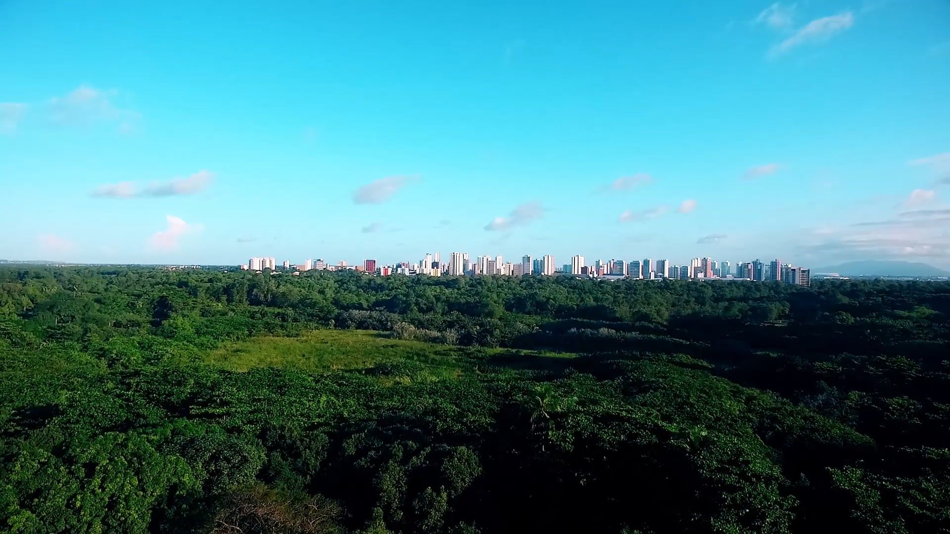 Drone Footage of A Forest Near A City · Free Stock Video