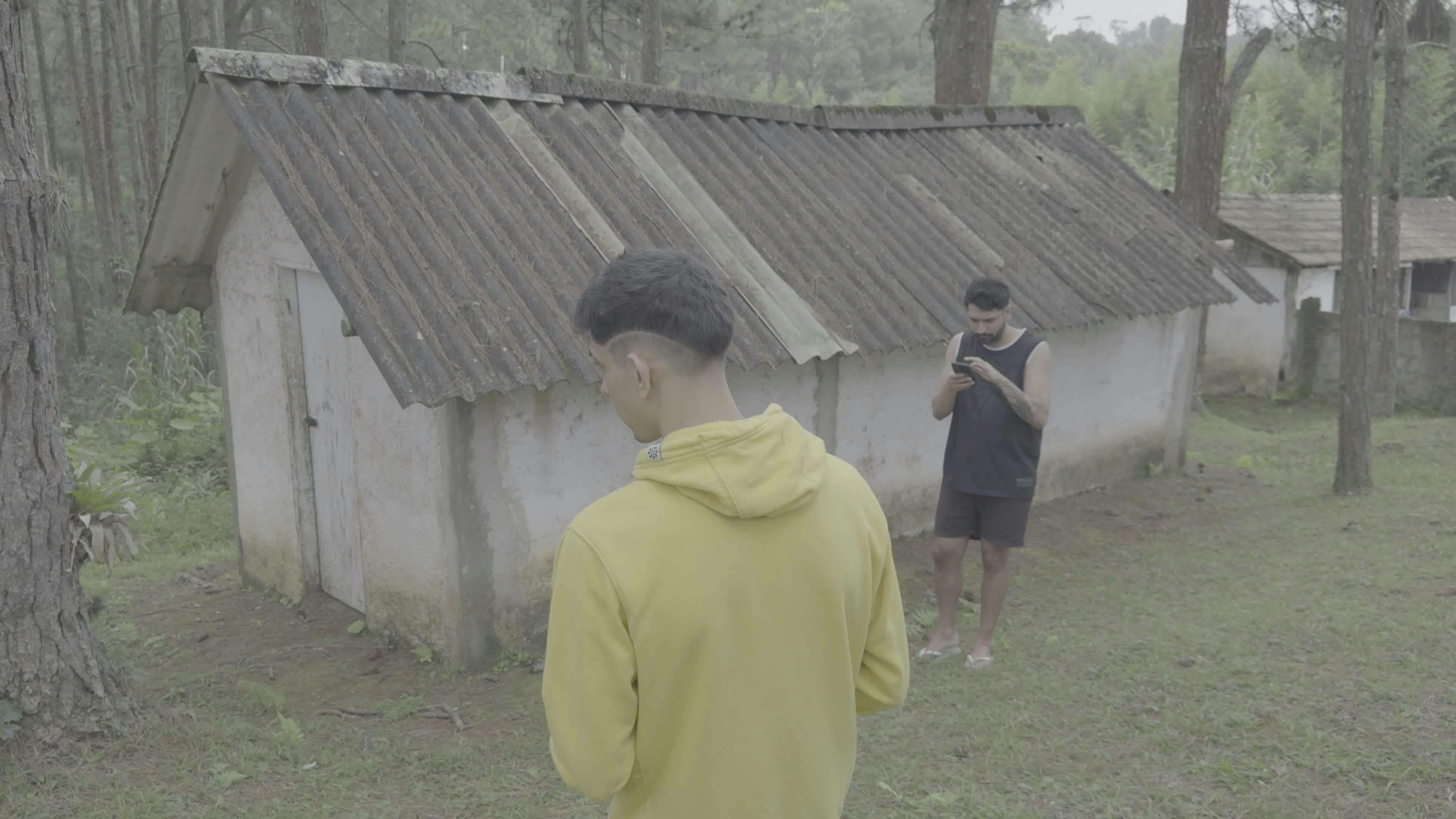 Pines Hut Videos, Download The BEST Free 4k Stock Video Footage & Pines ...