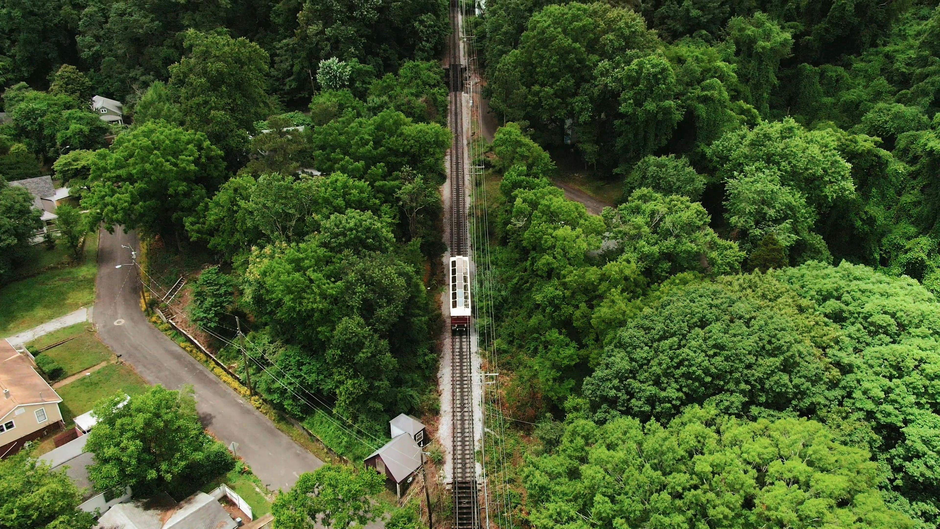 Aerial Footage Of A Train Going Through A Forest · Free Stock Video