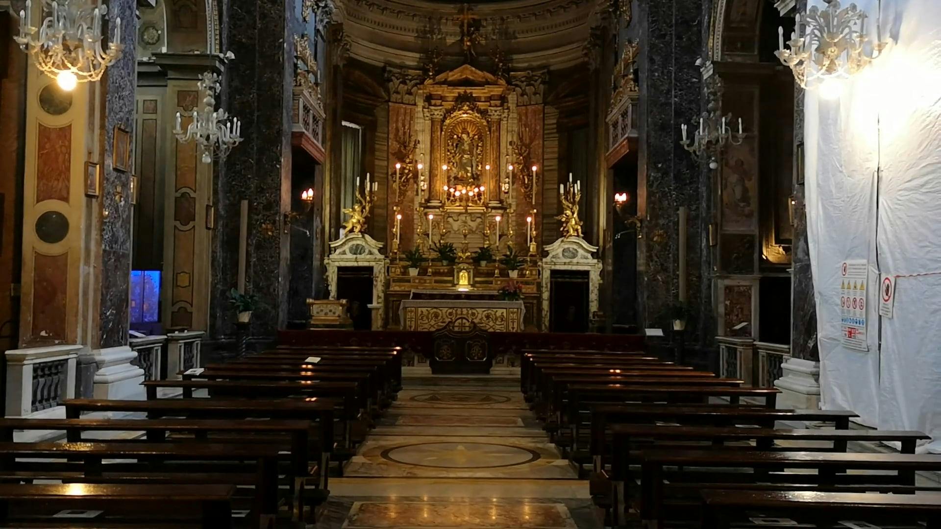 Aneesh Alex - 写真