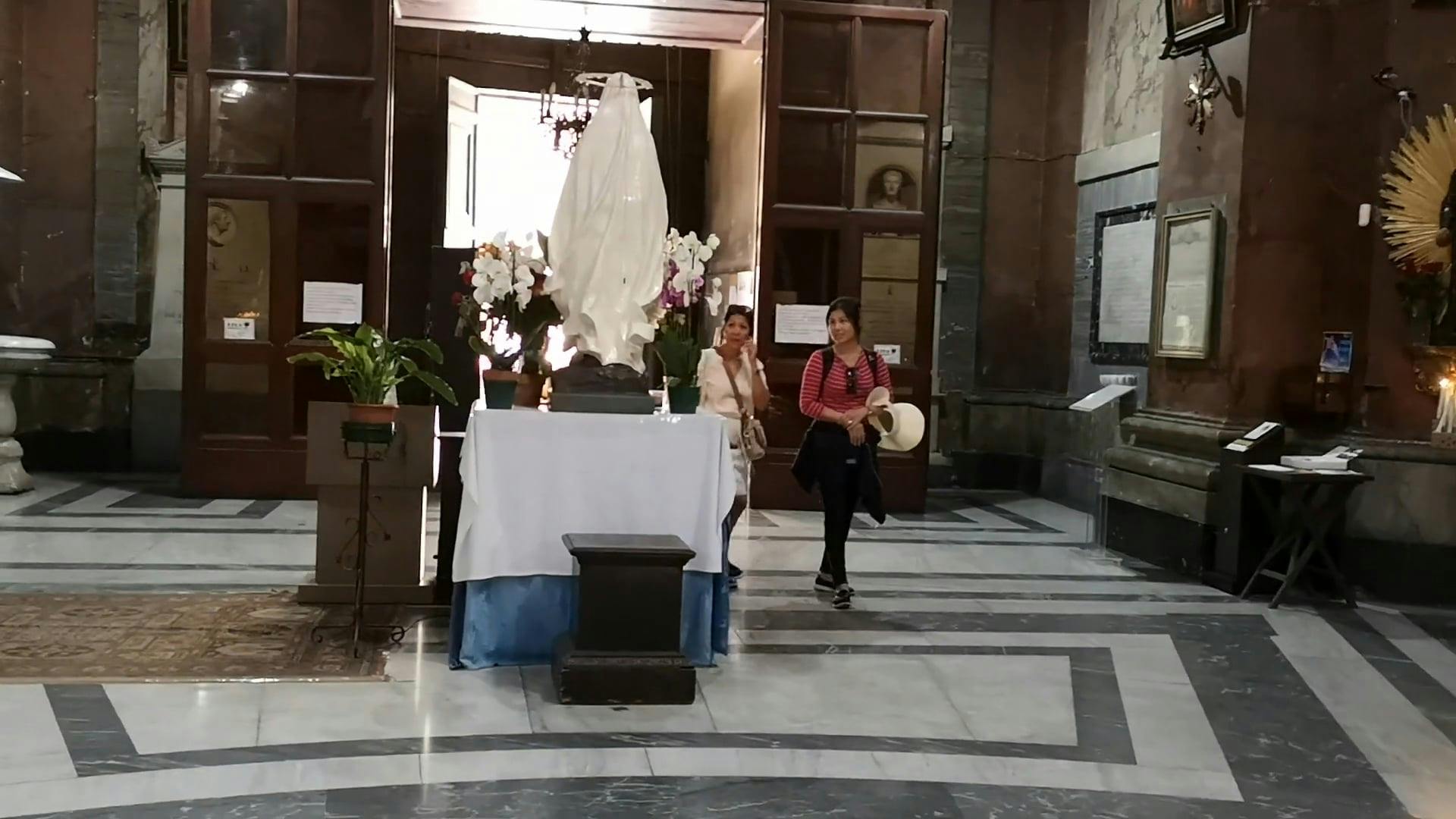 Aneesh Alex - 写真