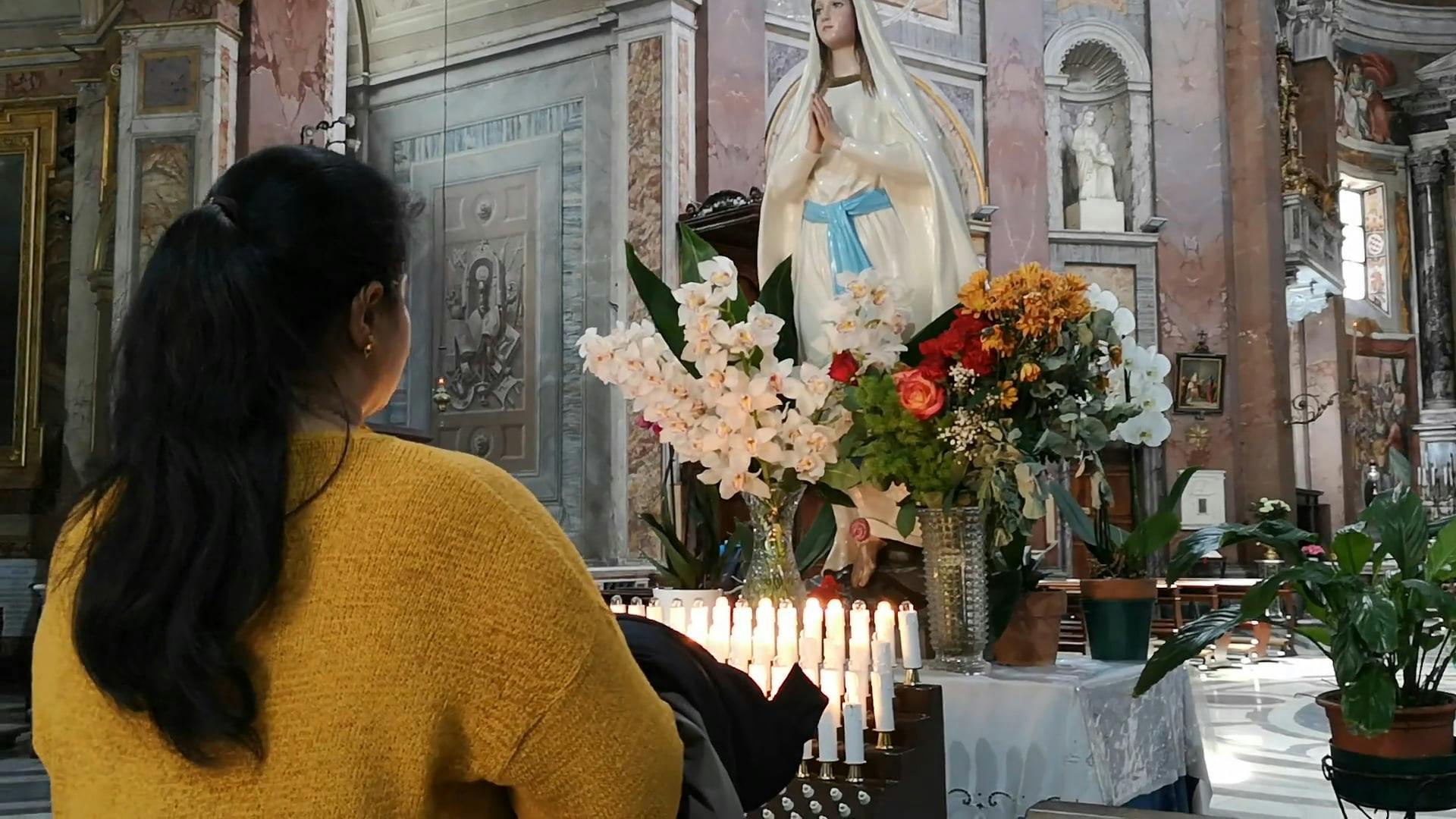 Aneesh Alex - 写真