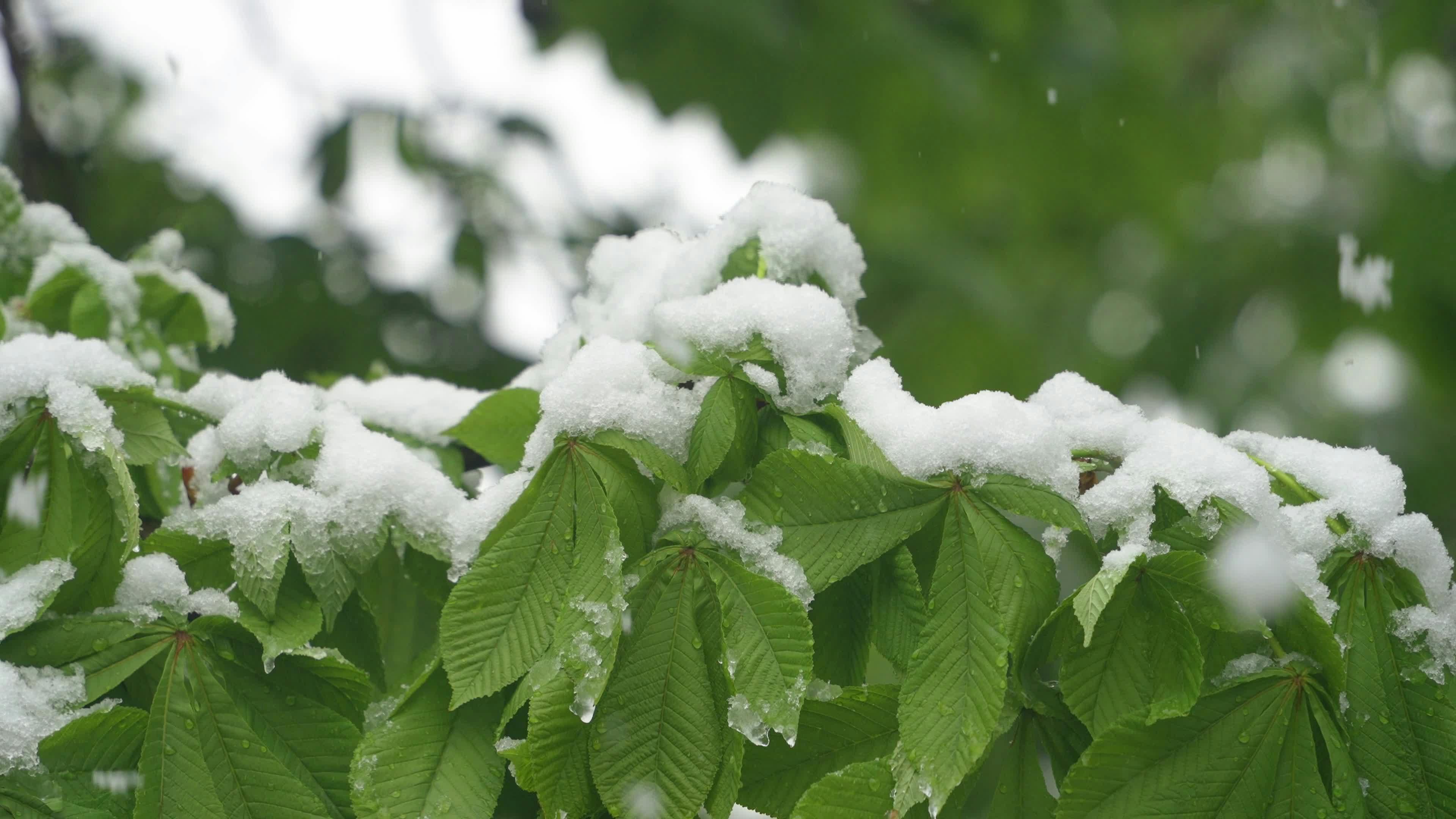 Crazy Weather Videos, Download The BEST Free 4k Stock Video Footage ...