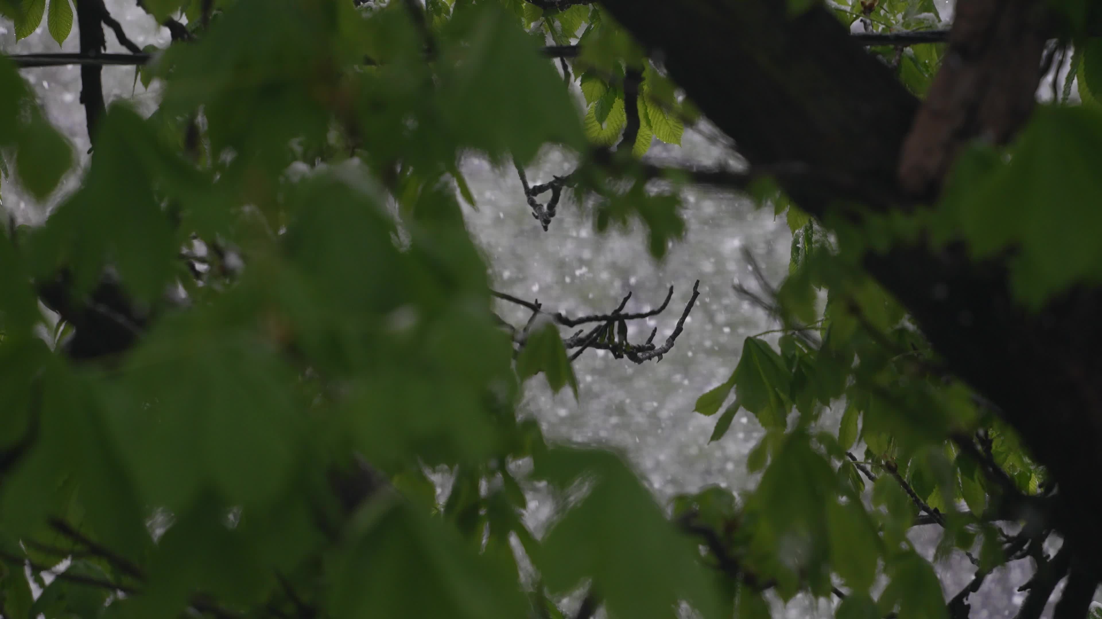 Crazy Rain Videos, Download The BEST Free 4k Stock Video Footage ...