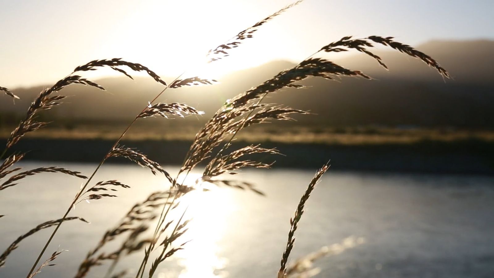 River Videos, Download The BEST Free 4k Stock Video Footage & River HD ...
