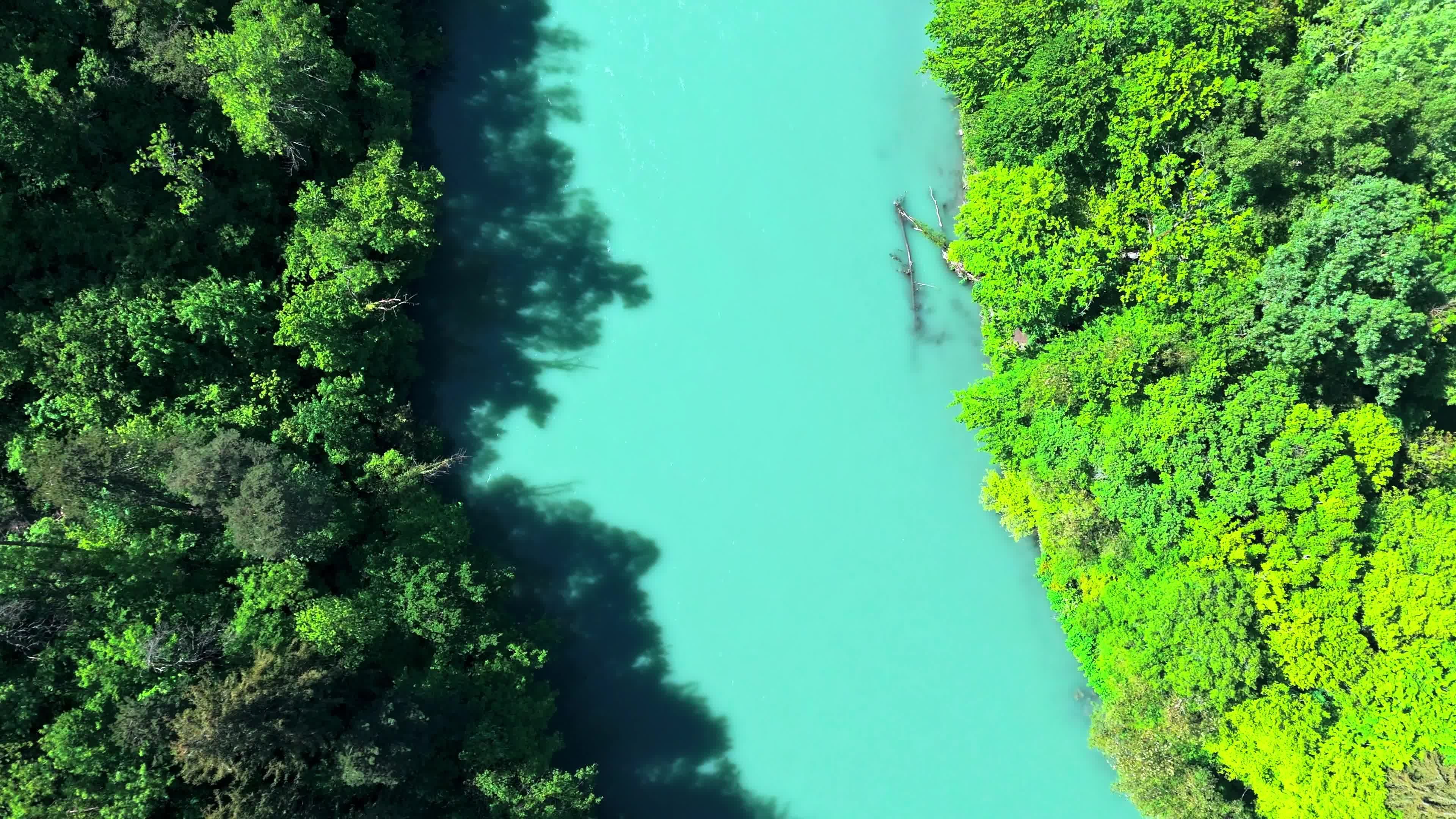 An aerial view of a river flowing through a forest Free Stock Video ...