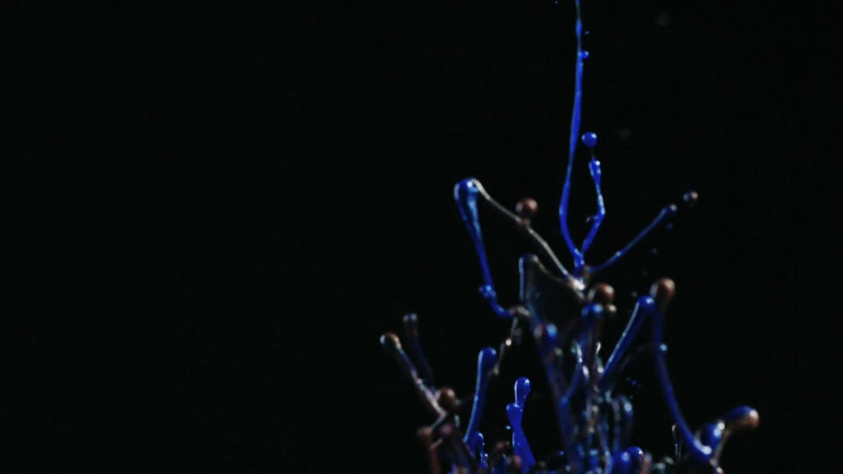 Background Video Videos, Download The BEST Free 4k Stock Video Footage ...