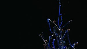 93,923+ Best Free Videos 4K Stock Video Footage & Royalty-Free HD Video ...