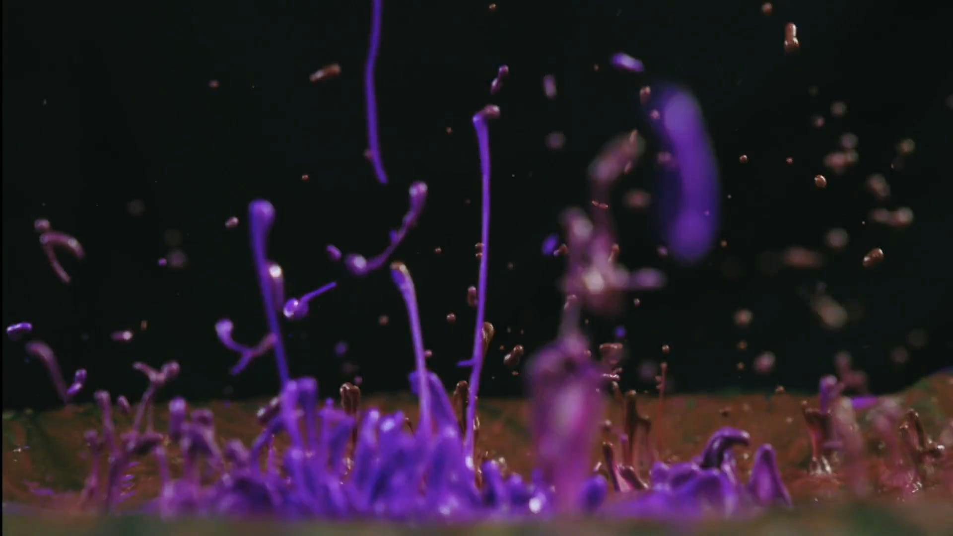 A Splatters Of Purple Liquid · Free Stock Video