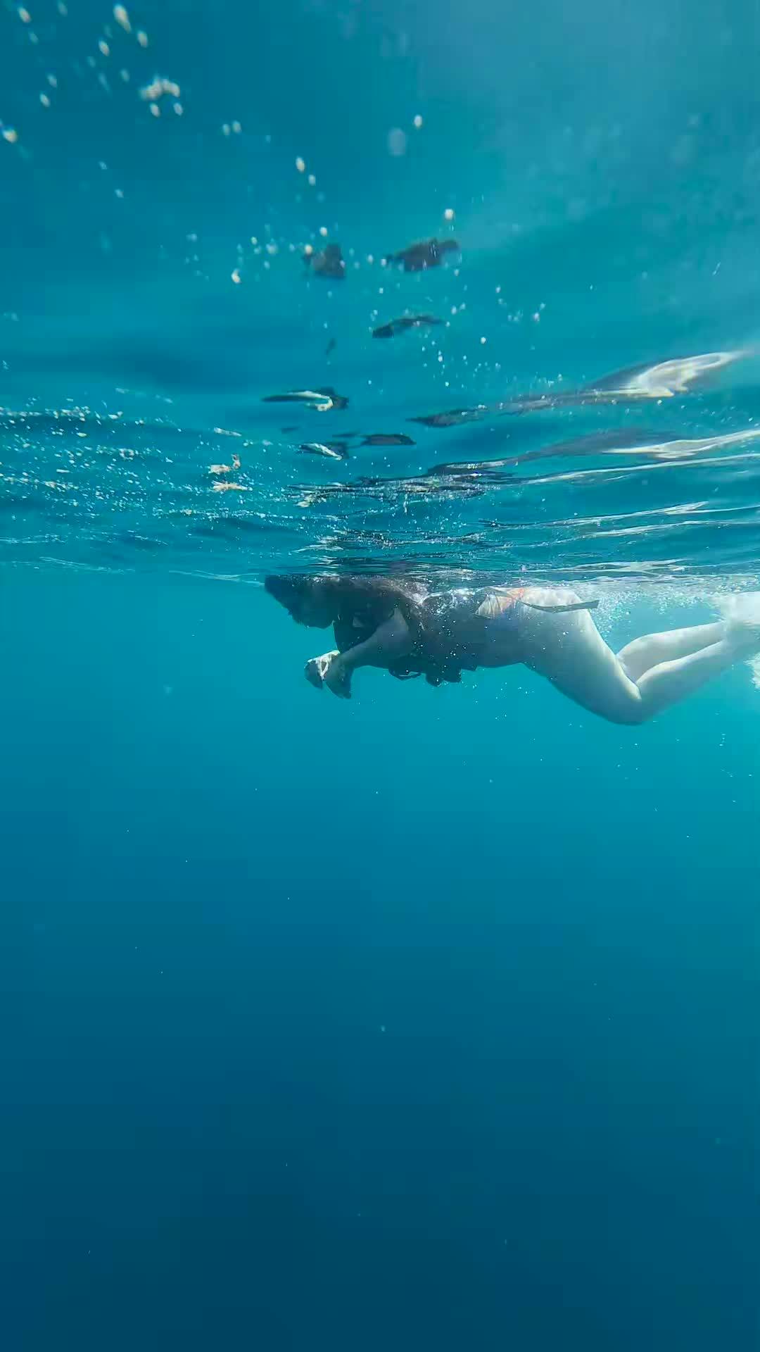 Ocean Under Water 4k Videos, Download The BEST Free 4k Stock Video ...