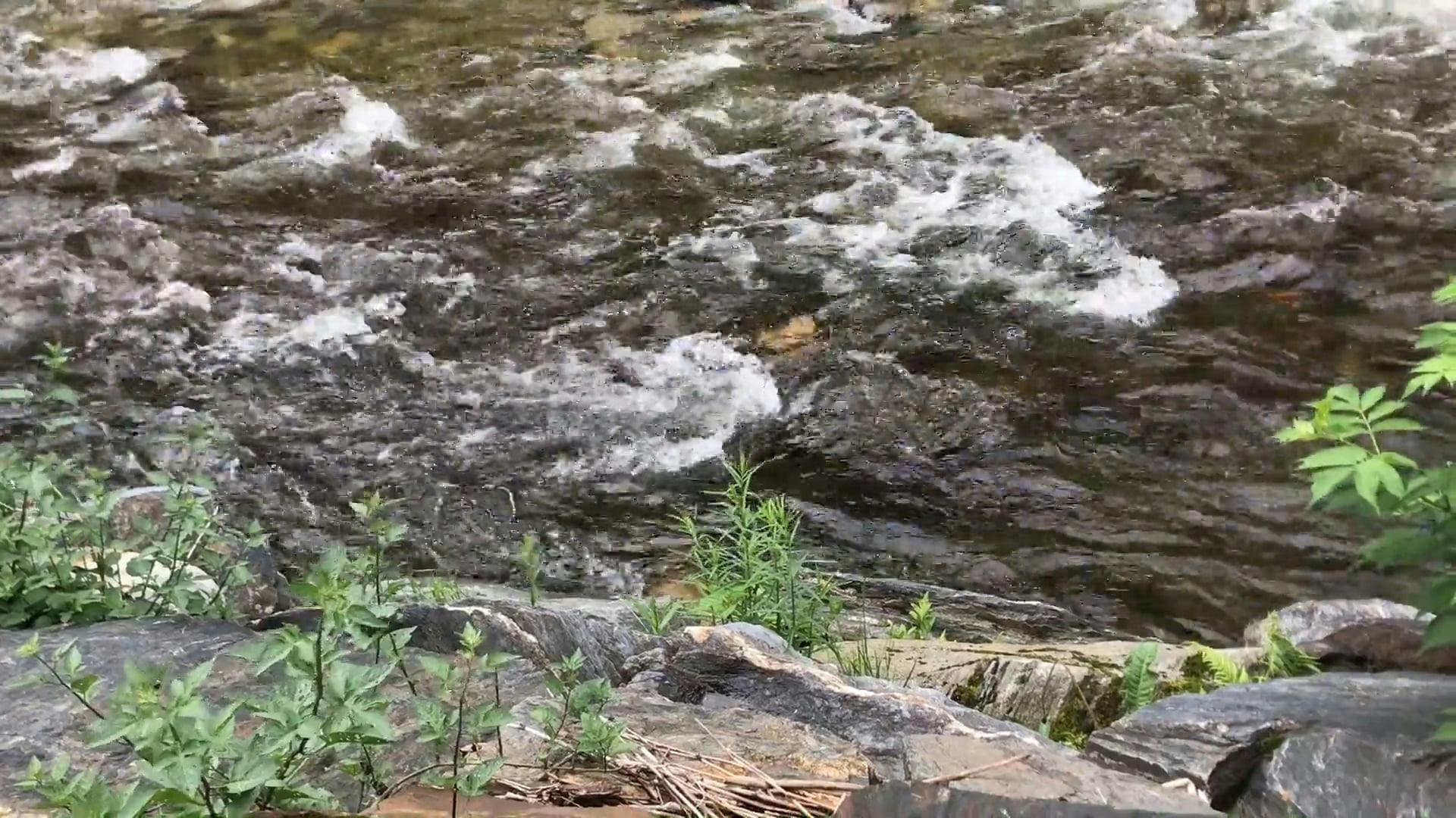 Alex LaMarche - Photography