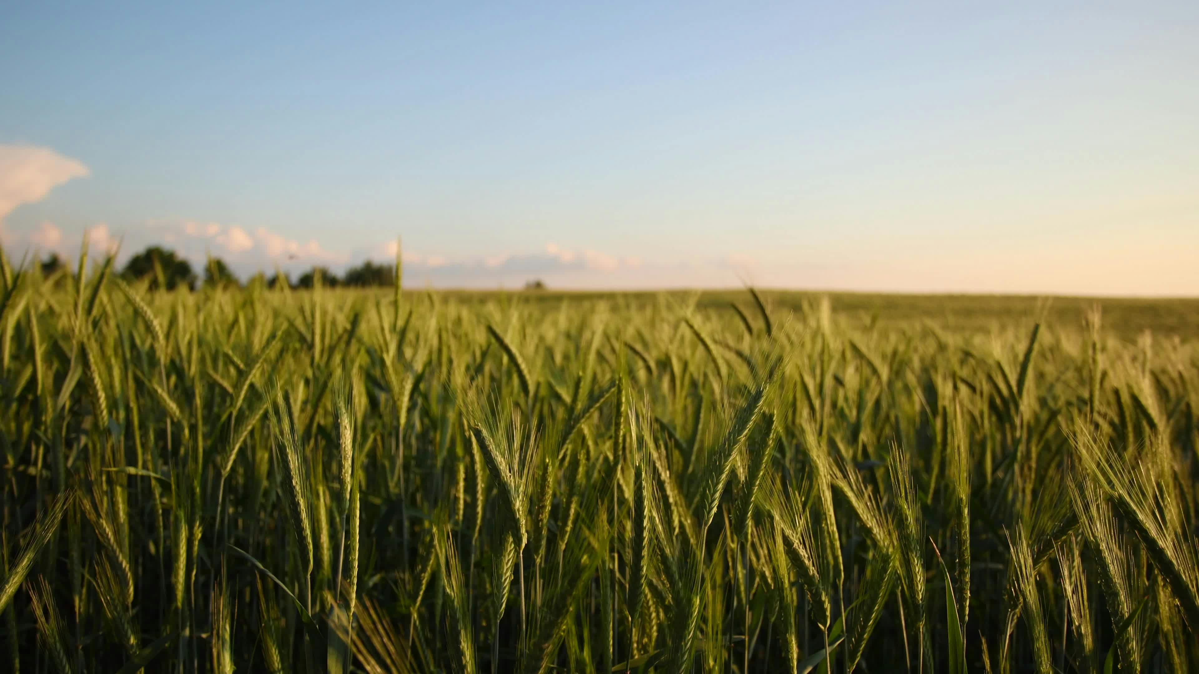 Land Up Videos, Download The BEST Free 4k Stock Video Footage & Land Up ...