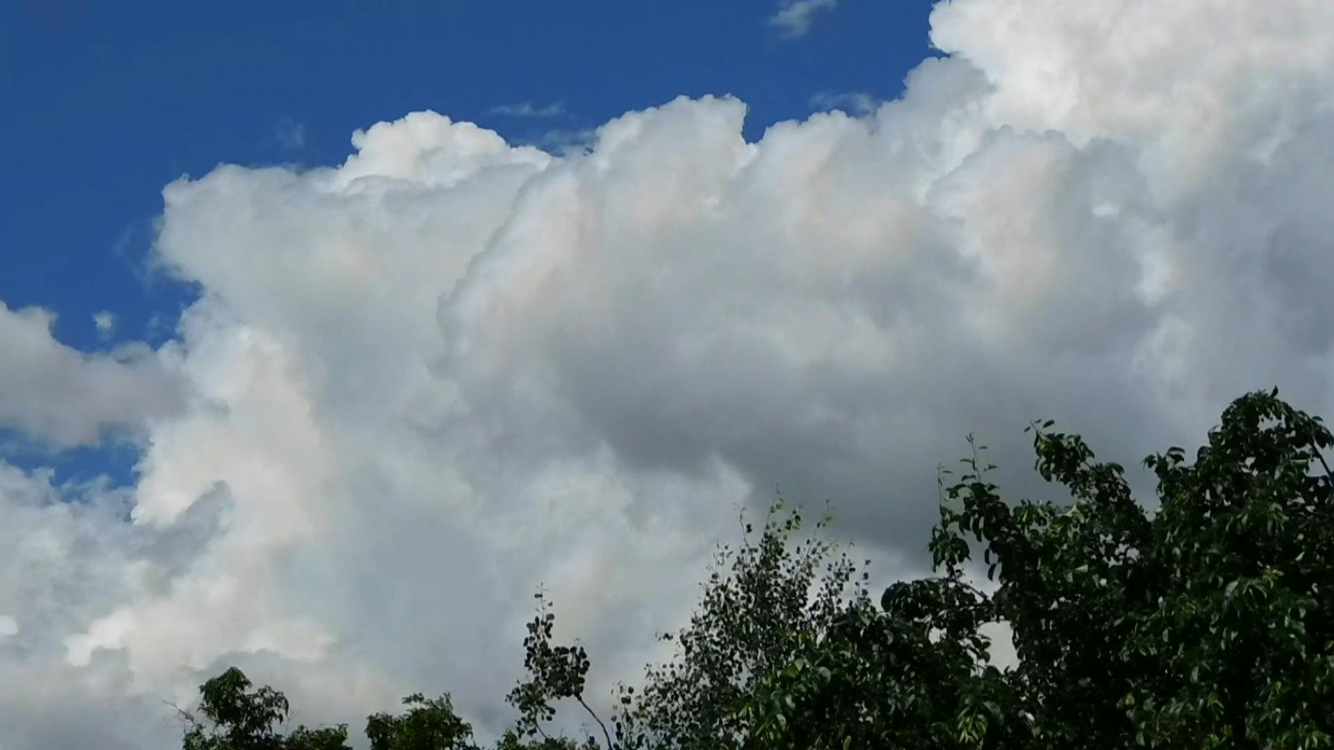 Art Landscape Wallpaper Videos, Download The BEST Free 4k Stock Video ...