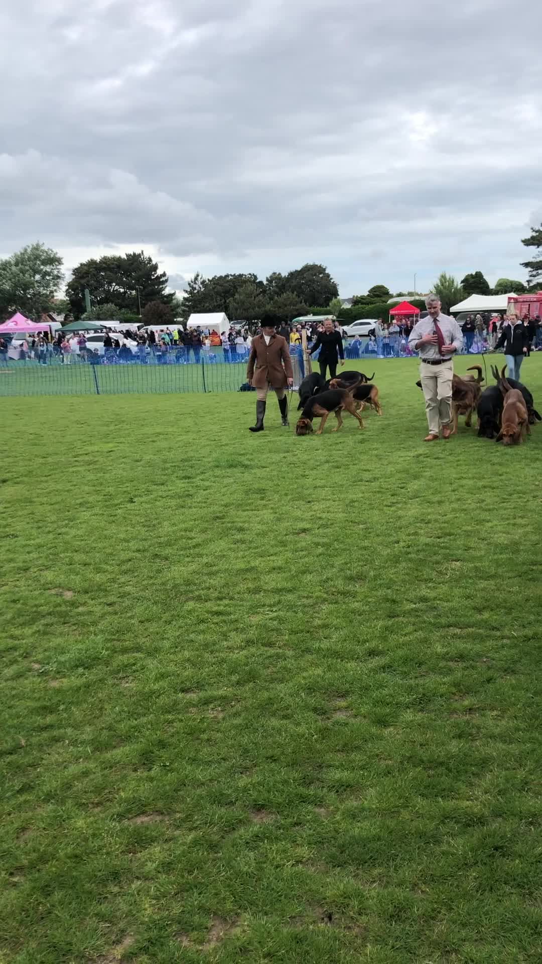 Vídeos de stock gratuitos sobre adiestradores de perros, al aire libre ...
