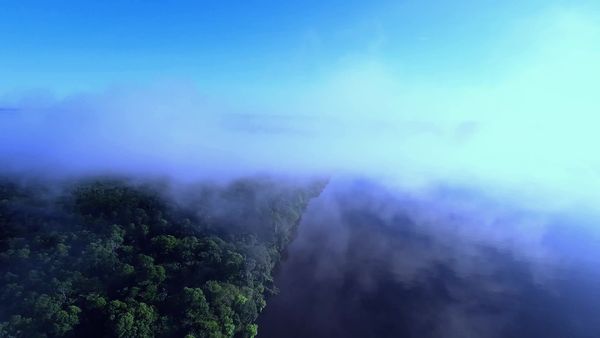 Amazon Rainforest Aerial View Videos, Download The BEST Free 4k Stock ...