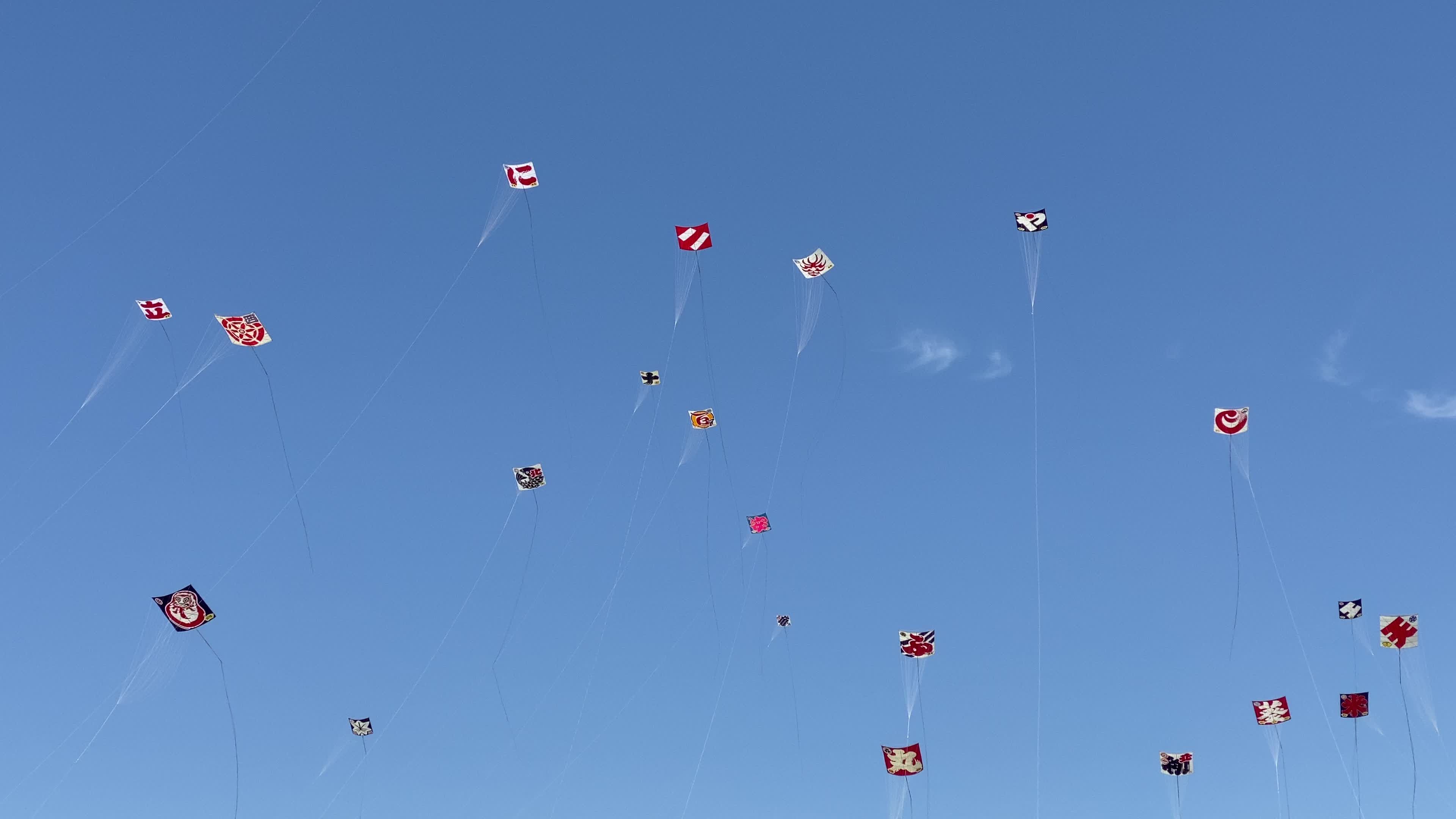 Kites flying in the sky Free Stock Video Footage, Royalty-Free 4K & HD ...