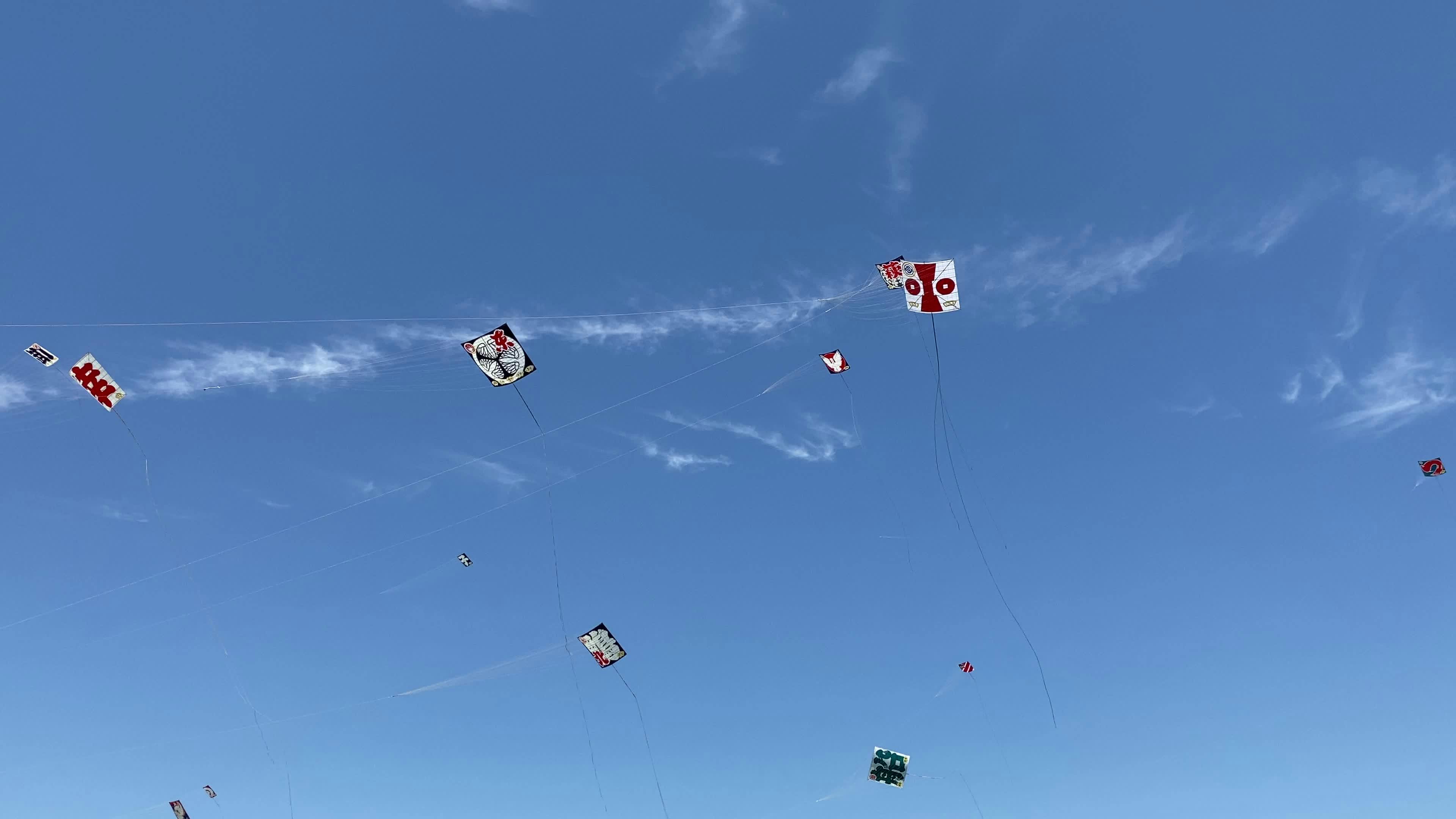 Kites flying in the sky Free Stock Video Footage, Royalty-Free 4K & HD ...