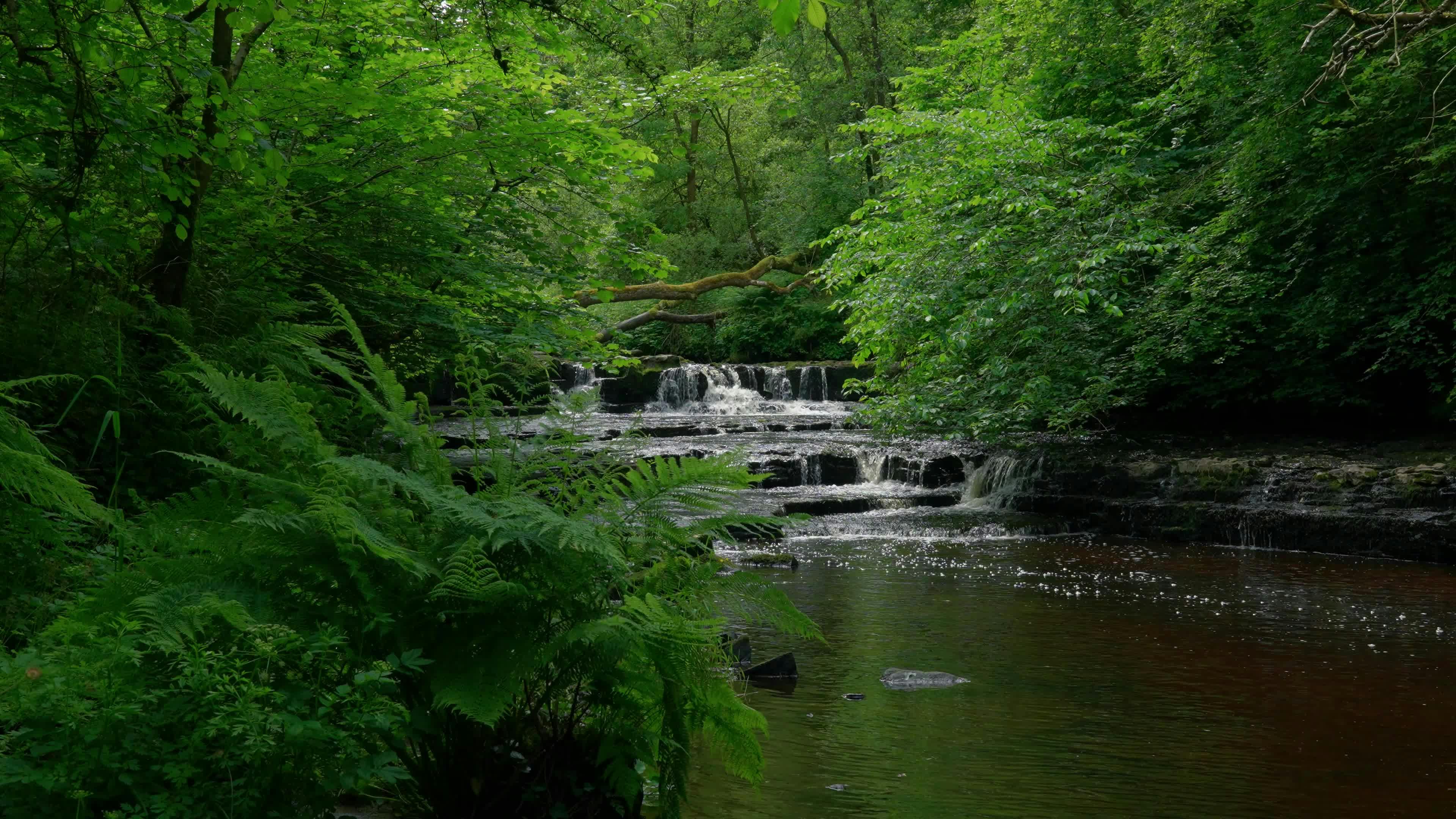 Flowing Rivers Videos, Download The BEST Free 4k Stock Video Footage ...