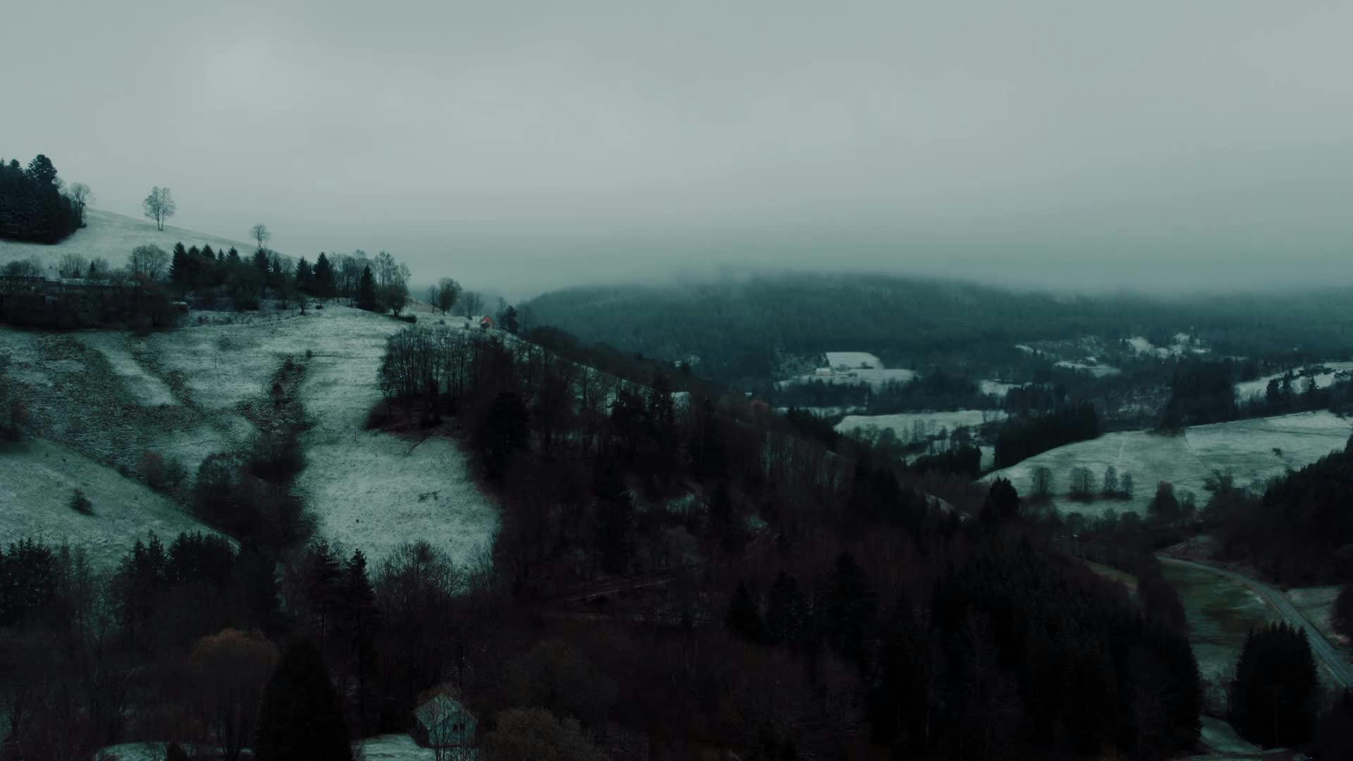 Dark Forest Video Videos, Download The BEST Free 4k Stock Video Footage ...