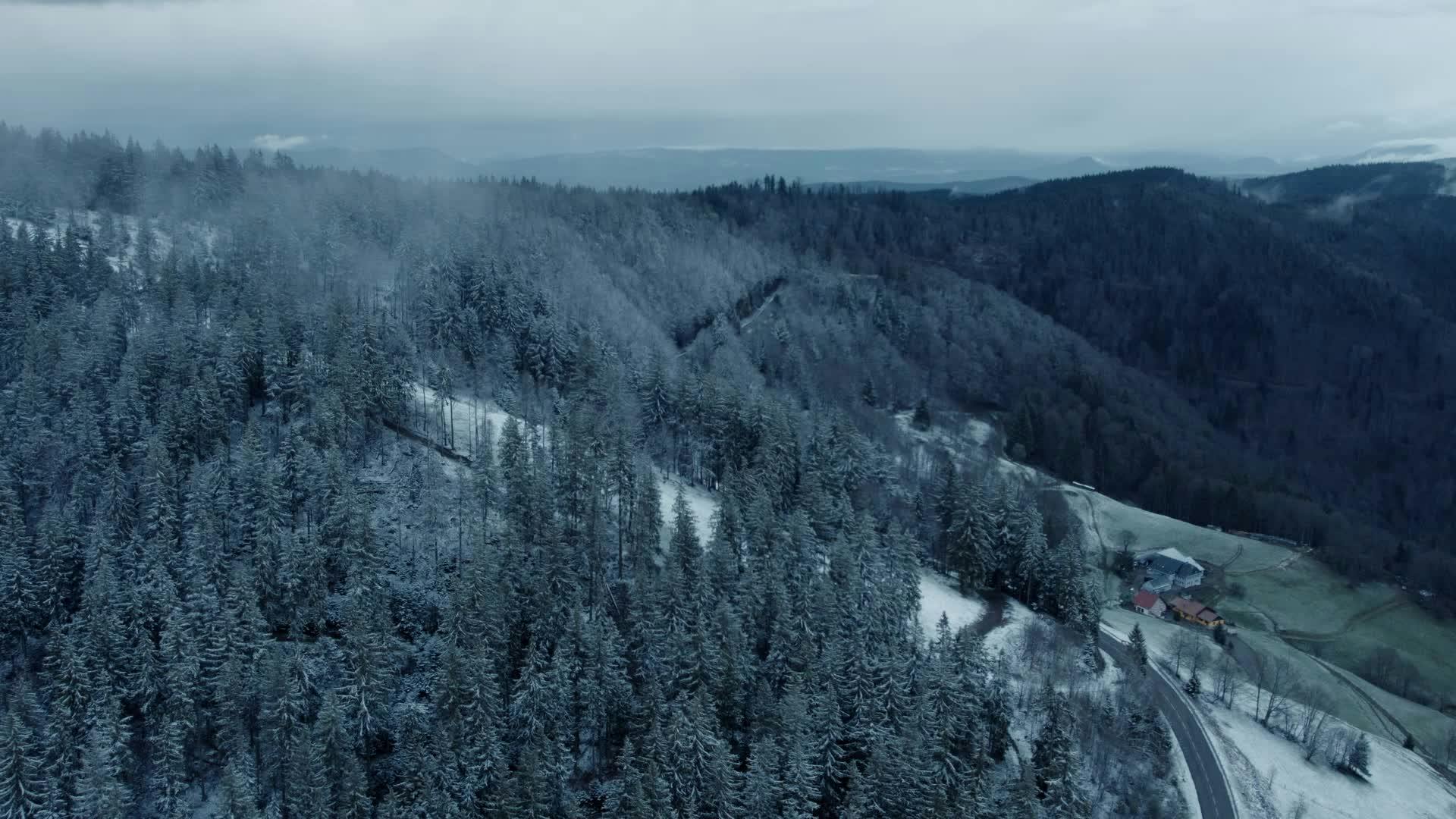 Cinematic Forest Videos, Download The BEST Free 4k Stock Video Footage ...