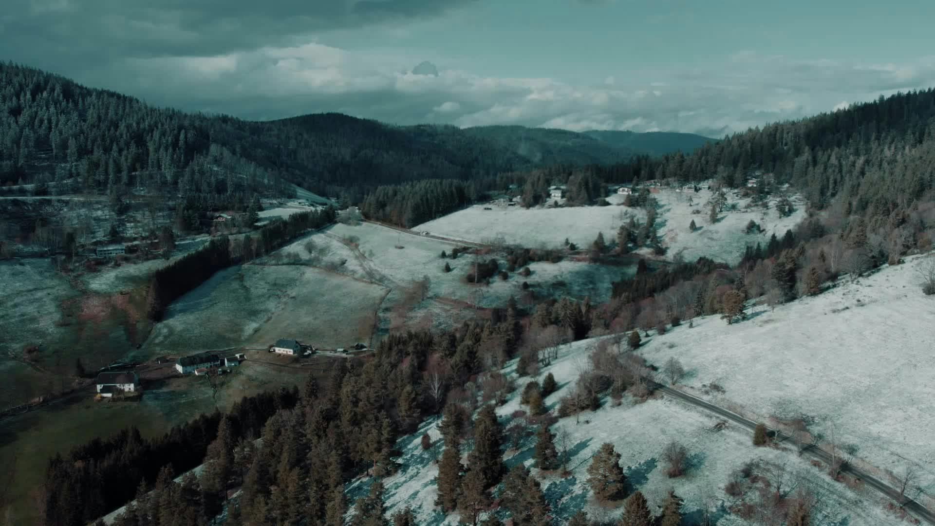 Cinematic Forest Videos, Download The BEST Free 4k Stock Video Footage ...