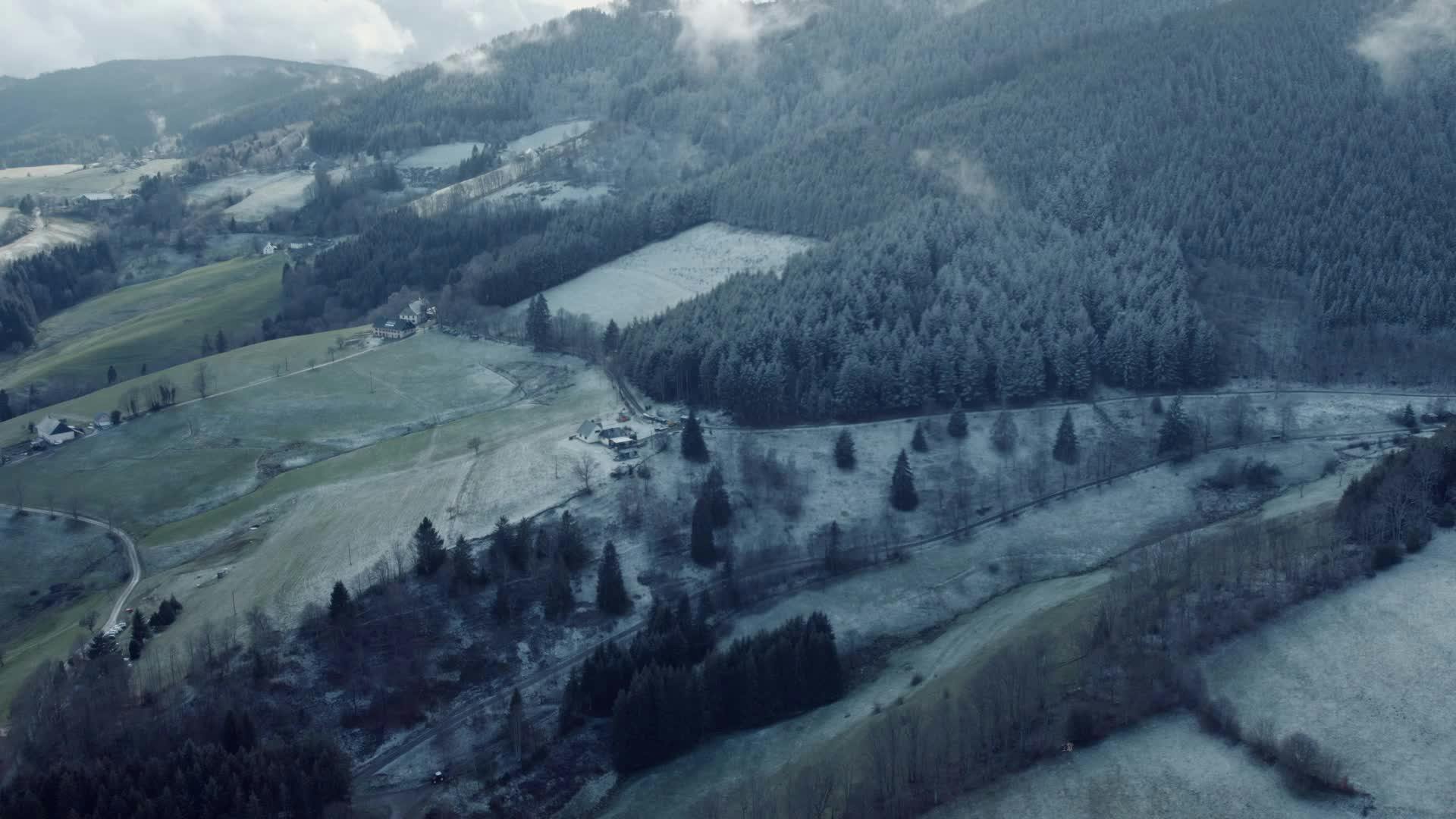 Cinematic Forest Videos, Download The BEST Free 4k Stock Video Footage ...