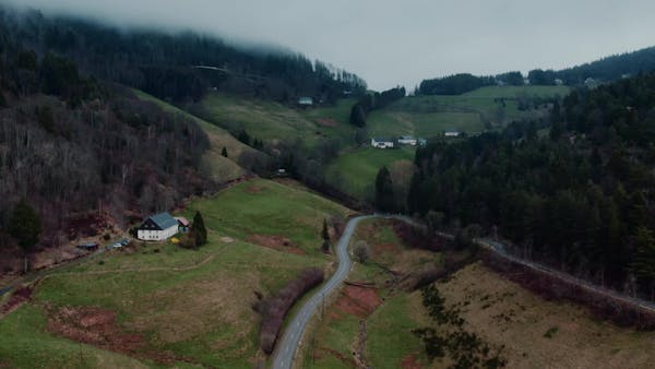 Cinematic Forest Videos, Download The BEST Free 4k Stock Video Footage ...