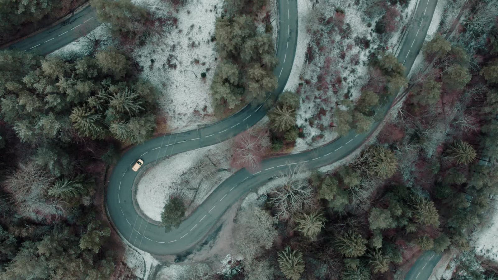 Forest Aerial Videos, Download The BEST Free 4k Stock Video Footage ...