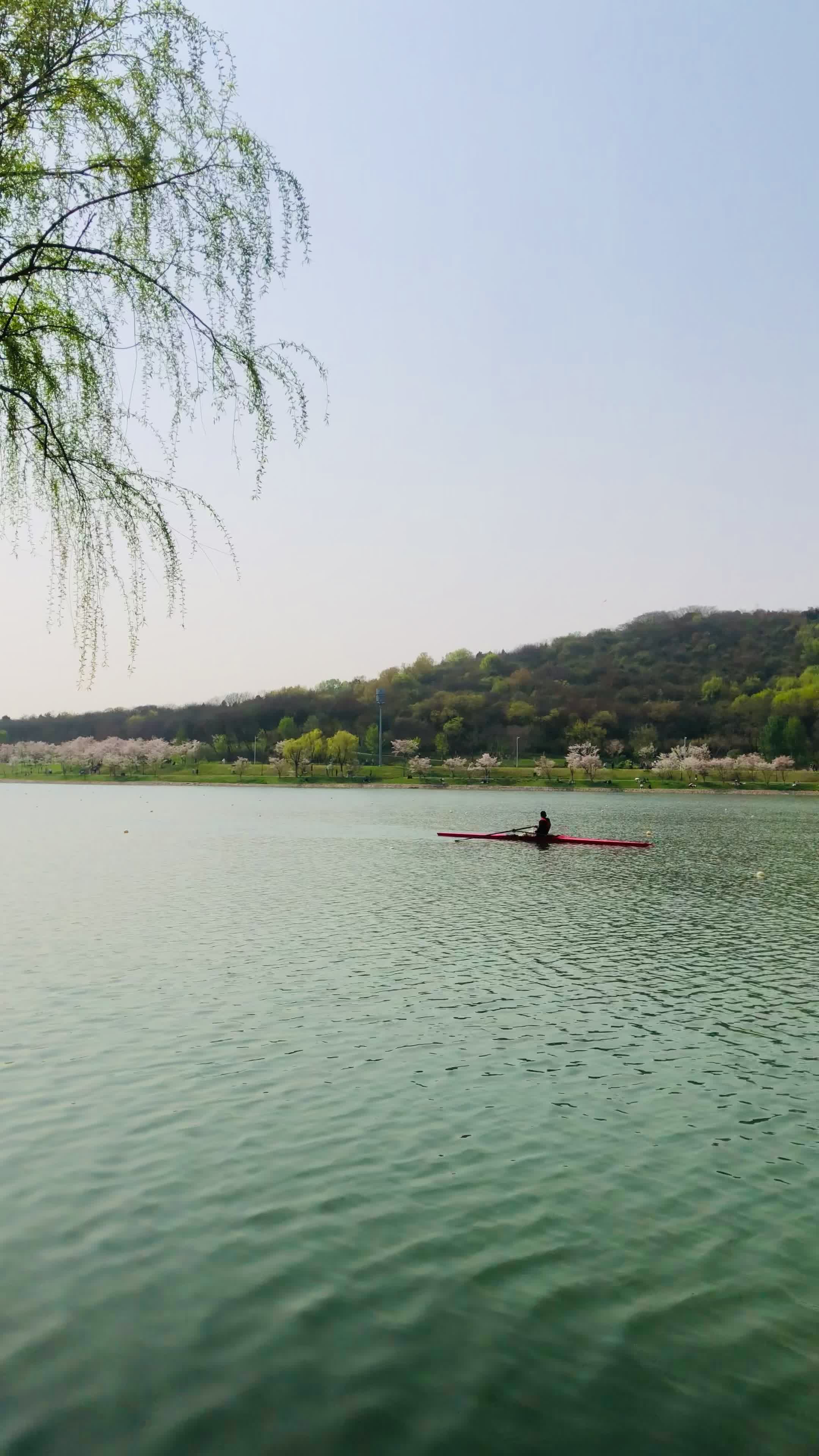 Kayaking on the lake in spring Free Stock Video Footage, Royalty-Free ...
